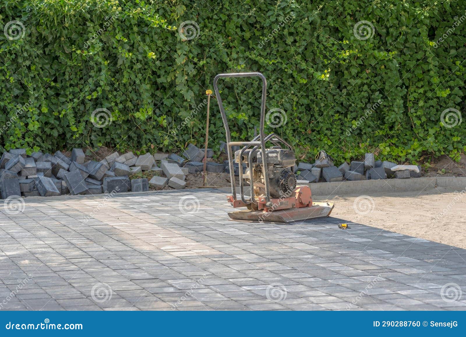 Laying Paving Stones on a Plot Fenced with a Net Covered with Ivy ...