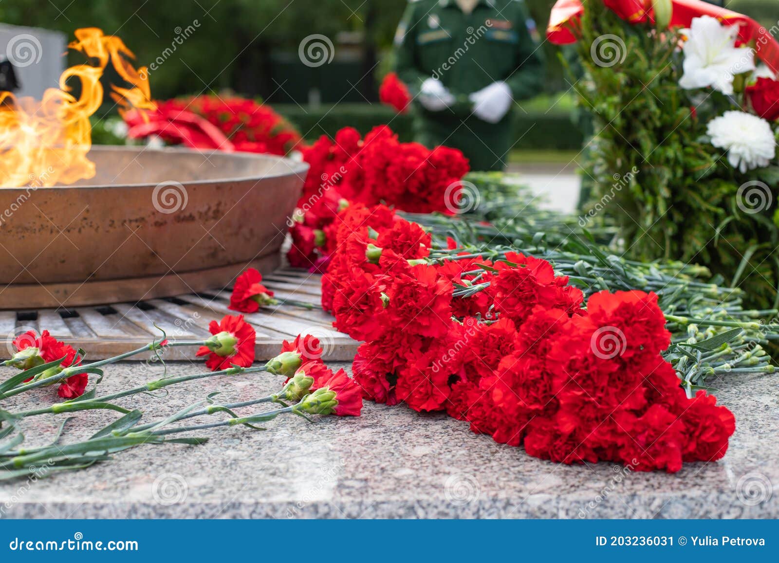 Laying a Red Carnation in Memory of the Dead. Red Carnations on a ...