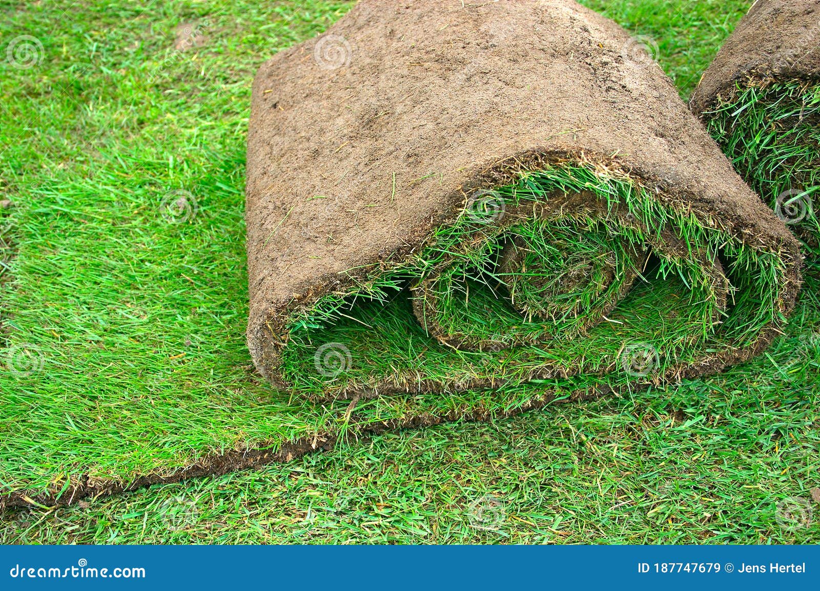 Laying turf stock image. Image of gardening, rolled - 187747679