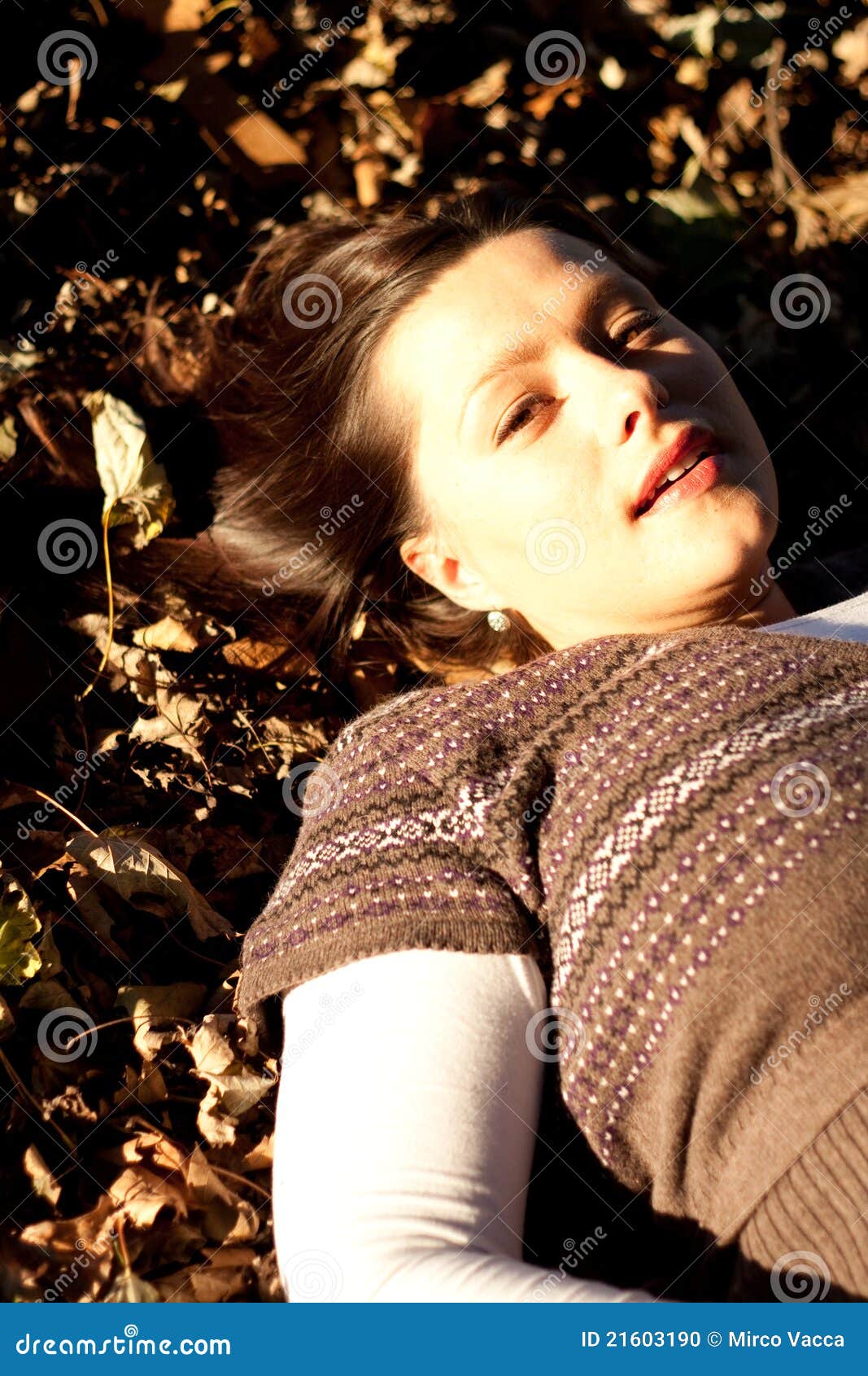 Laying woman stock photo. Image of hair, leaves, beautiful - 21603190