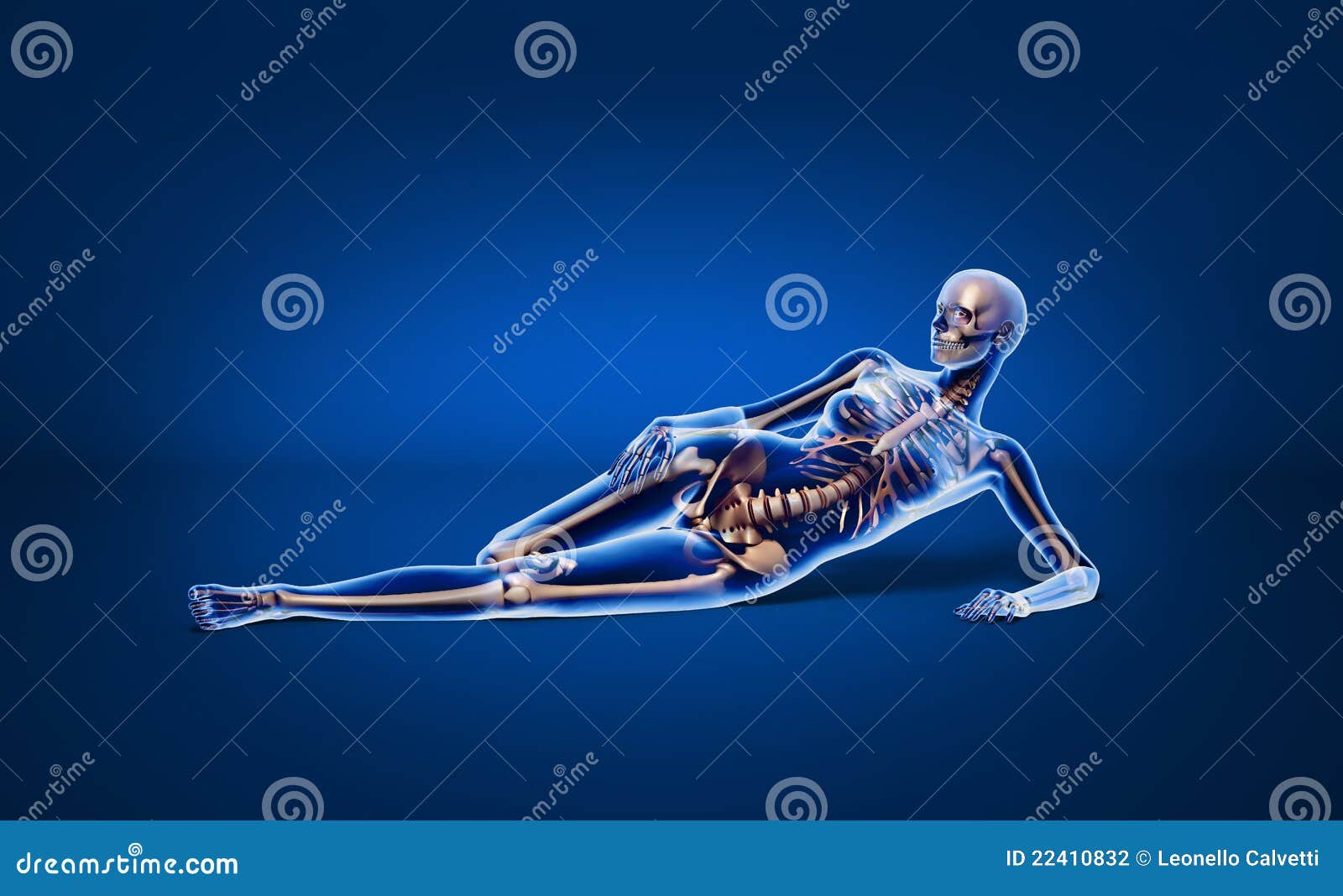 Laying Woman with Bone Skeleton. Stock Illustration - Illustration of ...