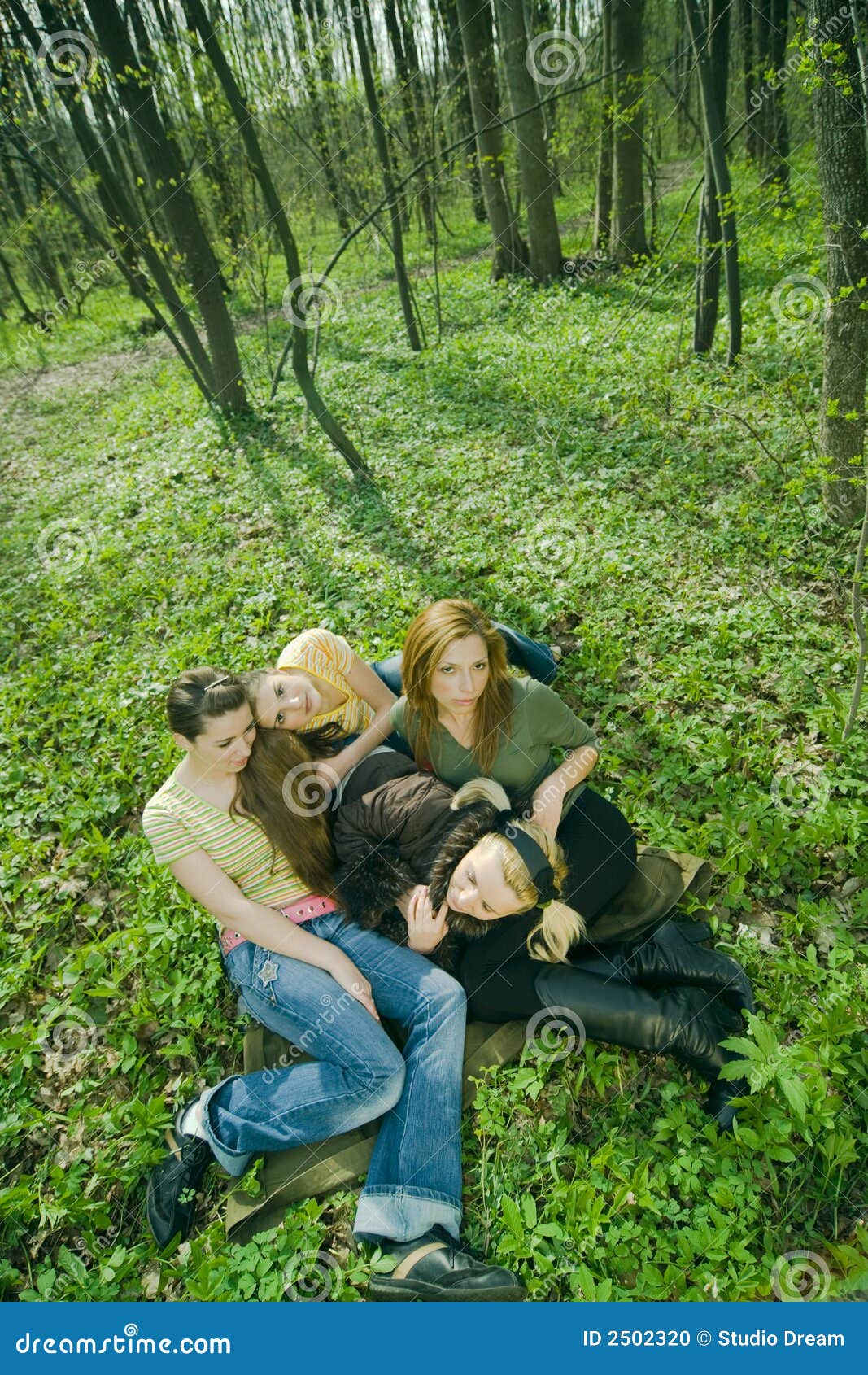 Laying in the woods stock photo. Image of resting, laying - 2502320