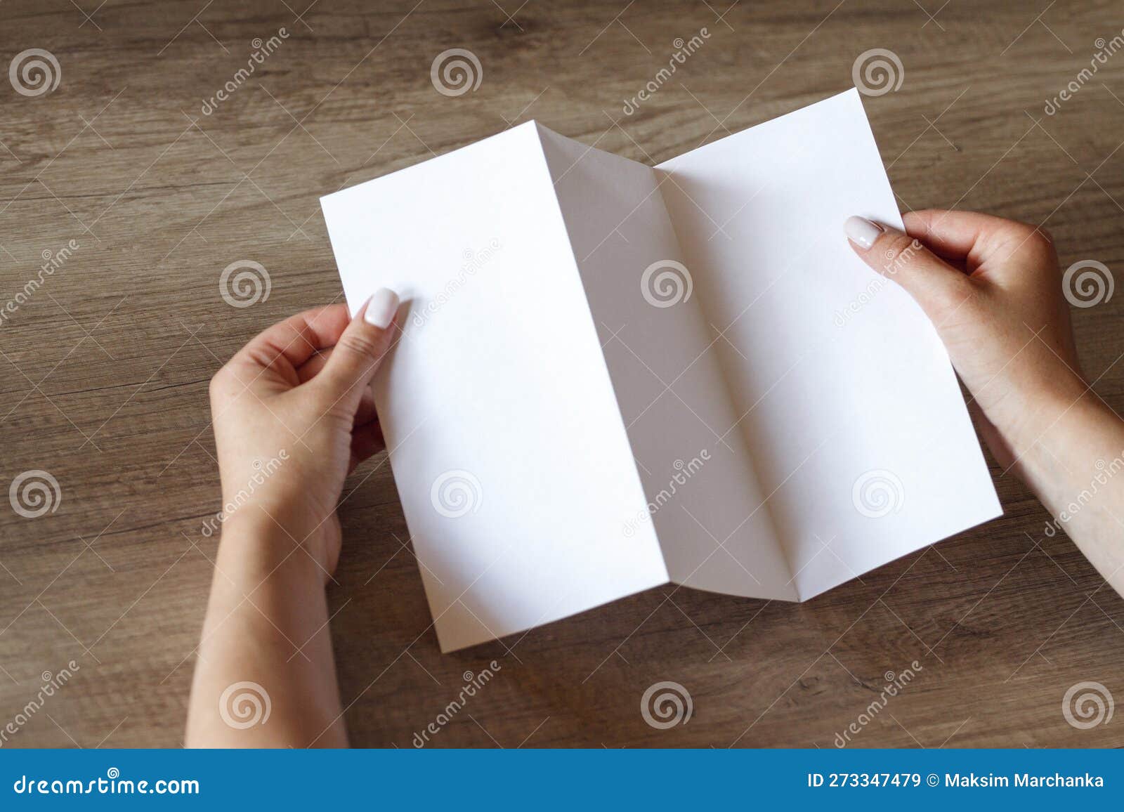 The Layout of the Booklet in the Hands Stock Image - Image of mock ...