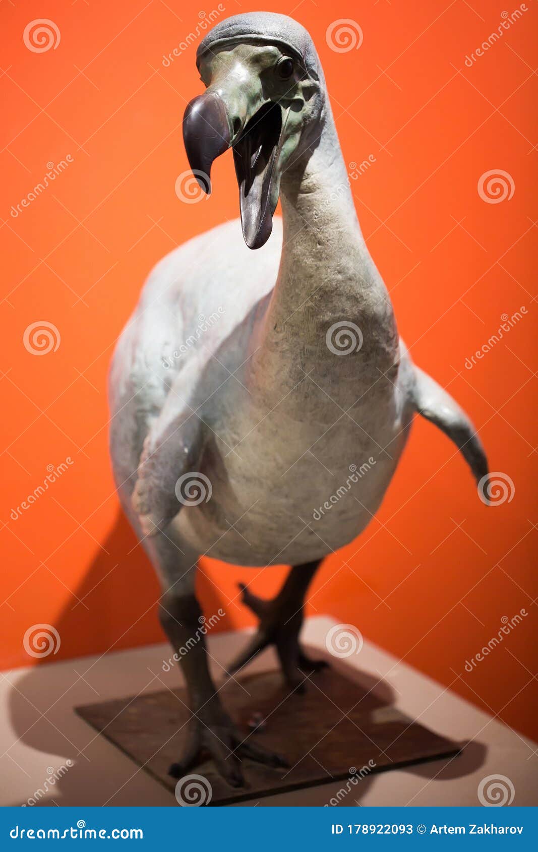 The Layout of the Dodo on Mauritius, La Vanille. Stock Image - Image of ...