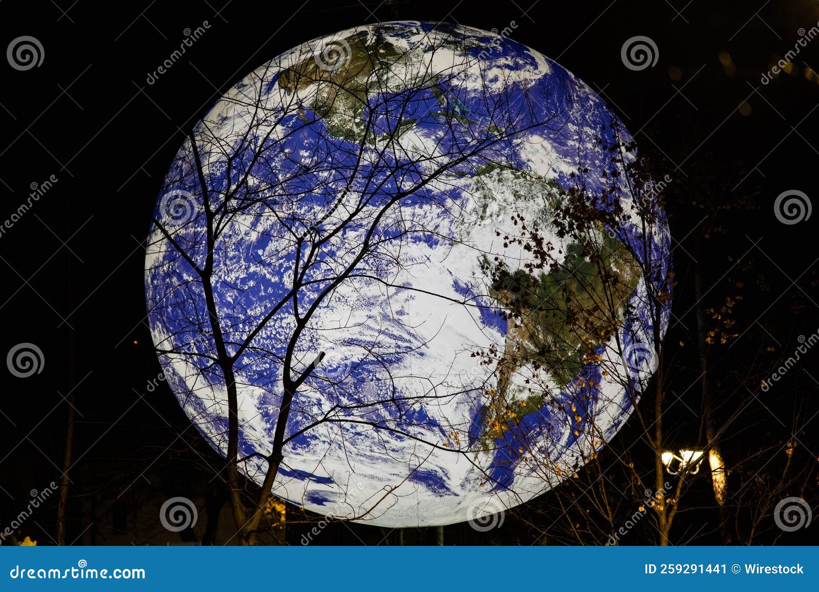 Layout of the Earth Outdoors with Tree Silhouettes on and Dark ...