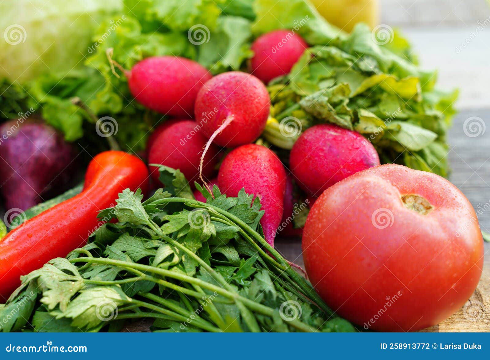 Layout Made with of Various Vegetables on a Table in a Garden, Outdoor ...