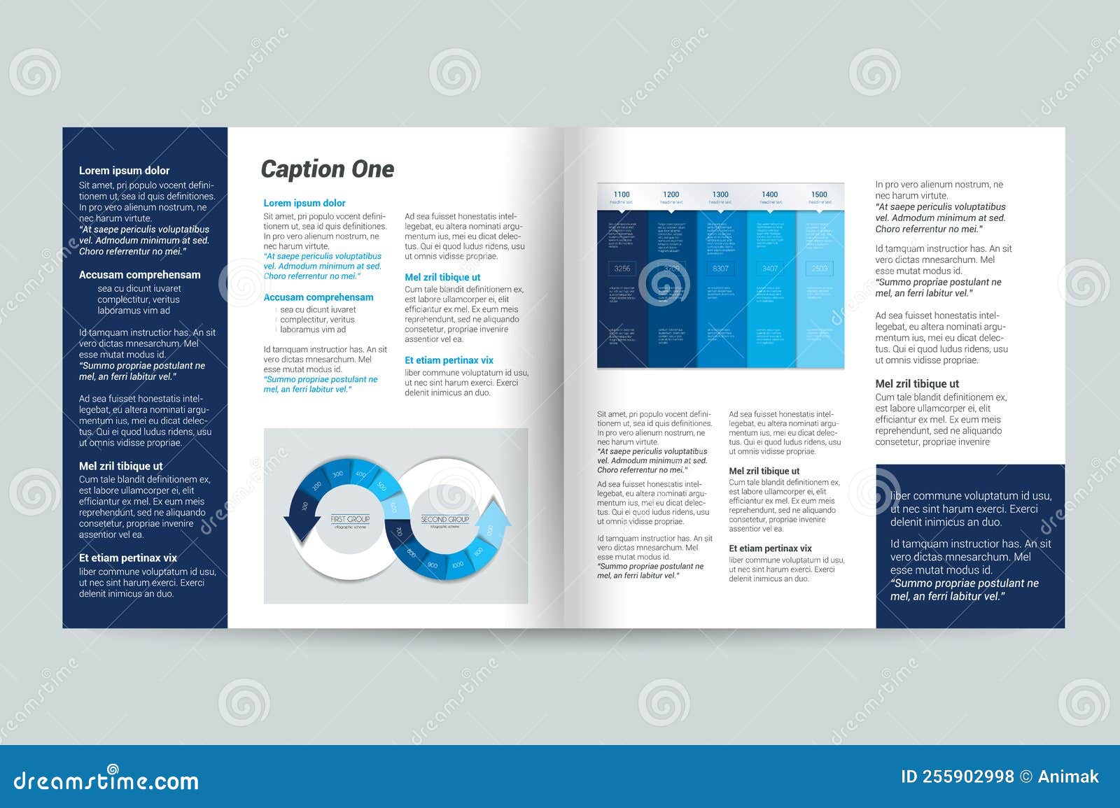 Layout, Page Template, Brochure, Text Page Stock Vector - Illustration ...