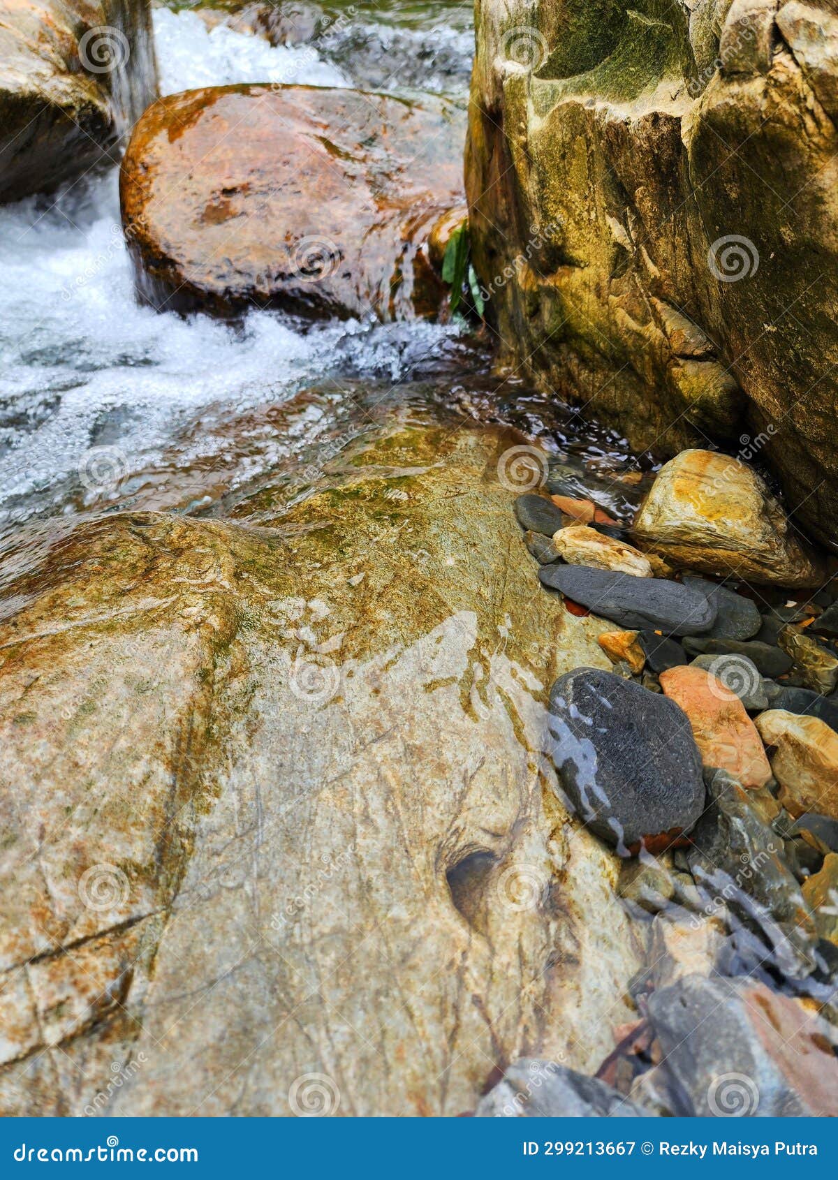 Layout, River Water Flow in the Interior of the Indonesian Forest Stock ...