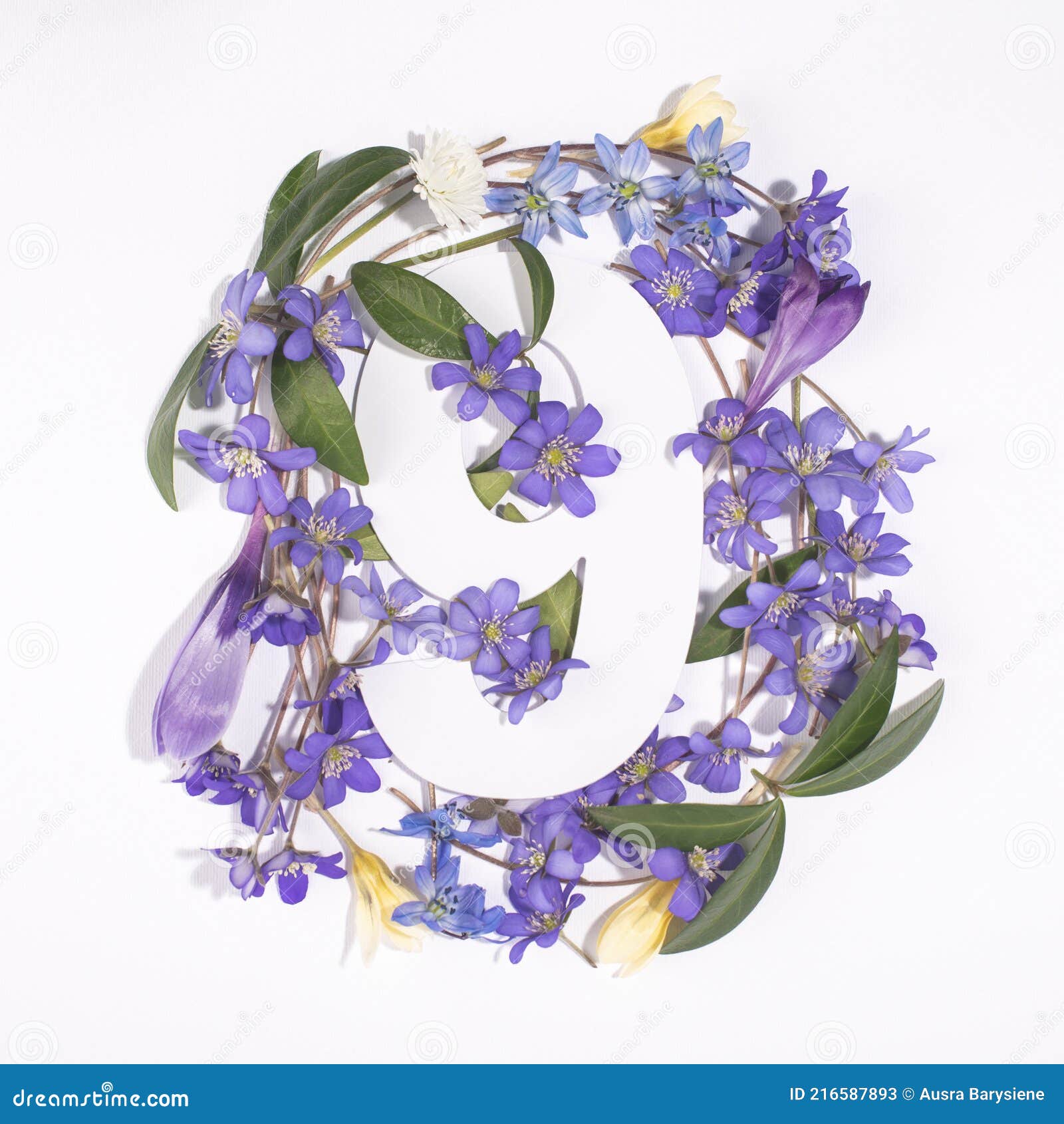 Layout with Spring Flowers and Number Nine. Anniversary Concept Stock ...
