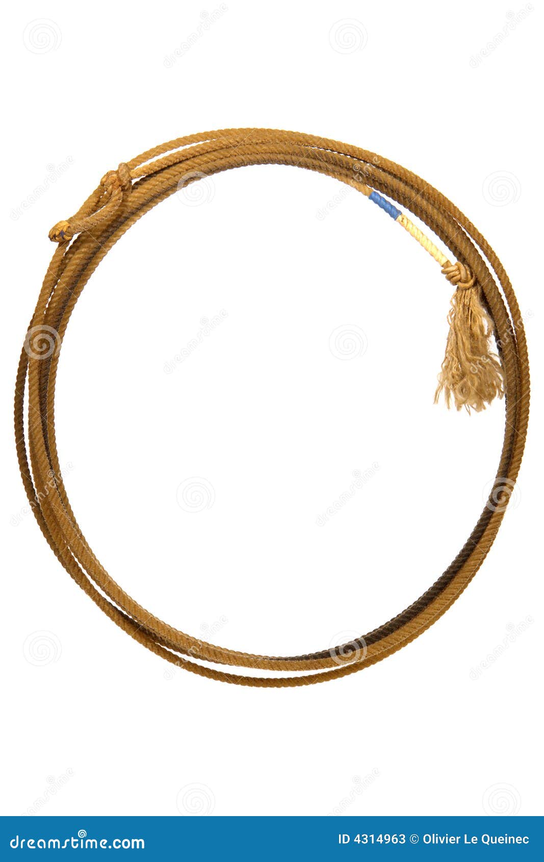 Lazo del rodeo imagen de archivo. Imagen de hilo, occidental - 4314963