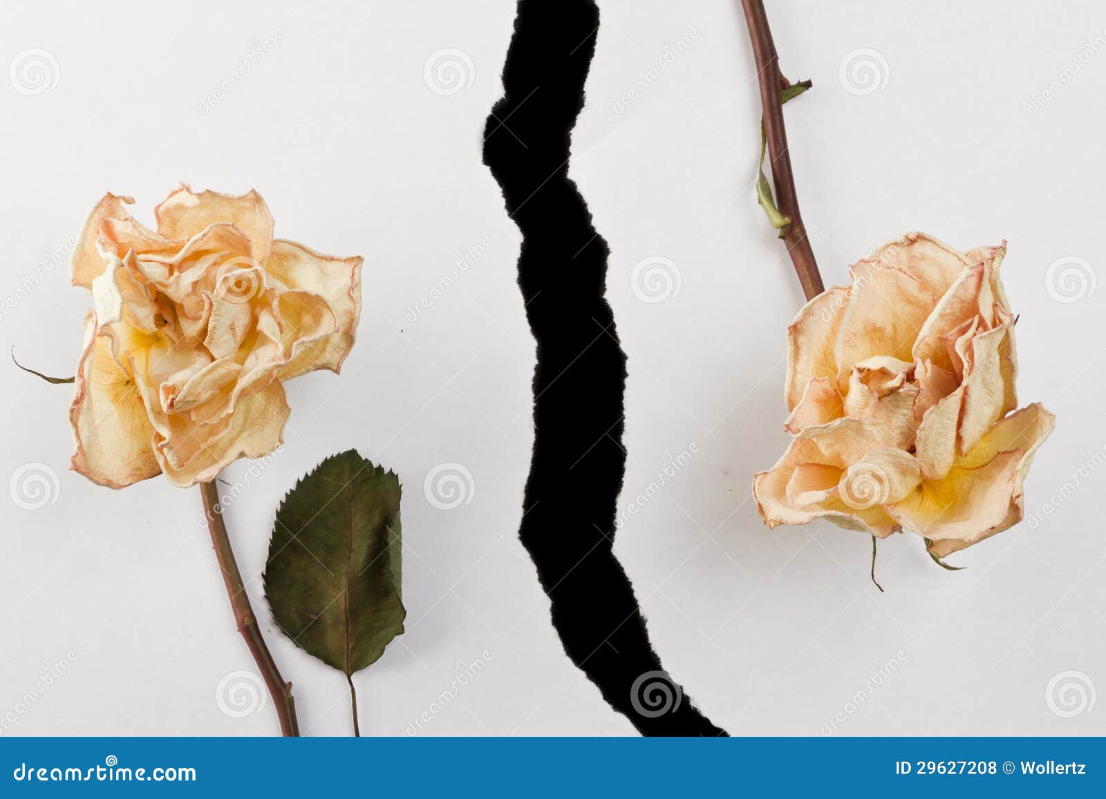 Lazo roto abandonado foto de archivo. Imagen de abusado - 29627208