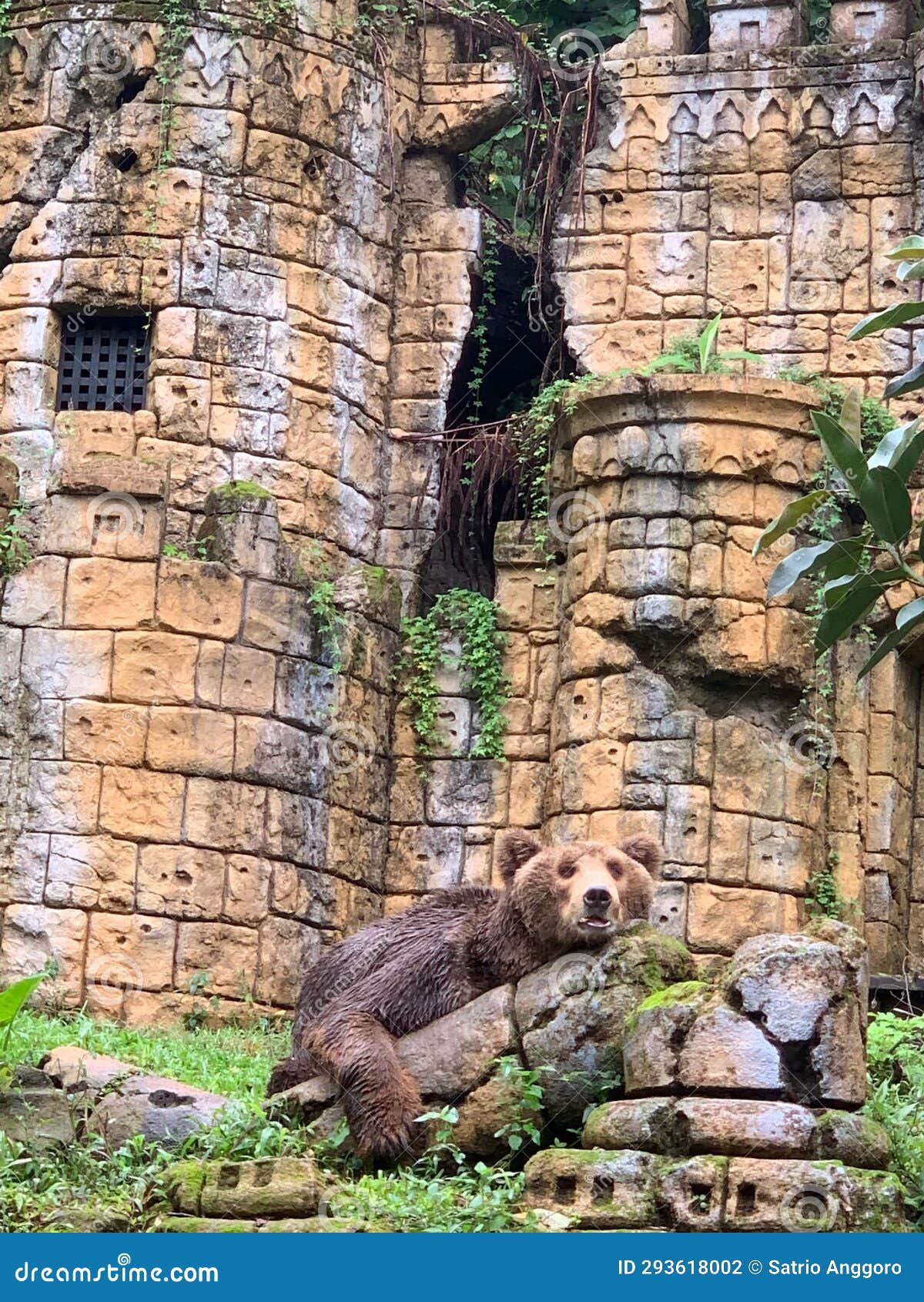 Lazy bear in the castle stock photo. Image of monument - 293618002