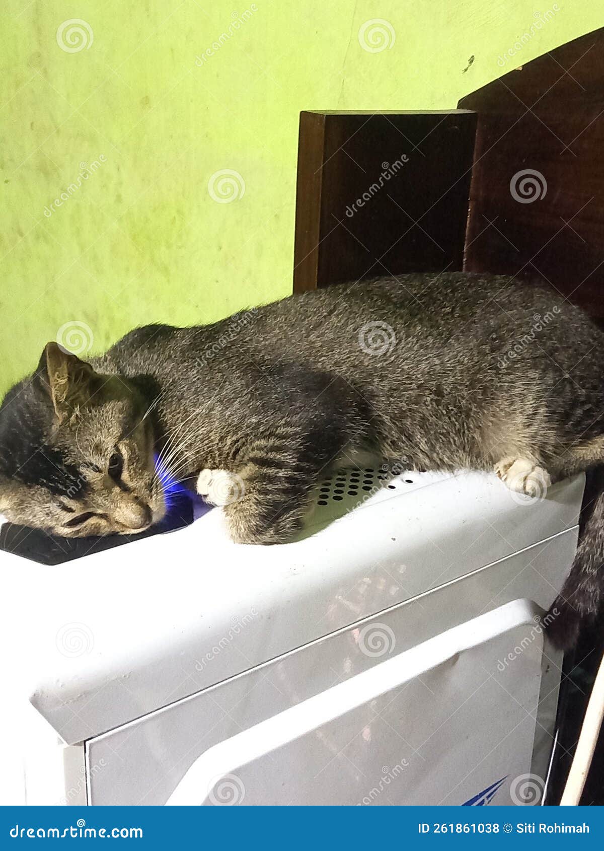 Lazy Cat Cute Overthinking Wallpaper Stock Photo - Image of lazy ...