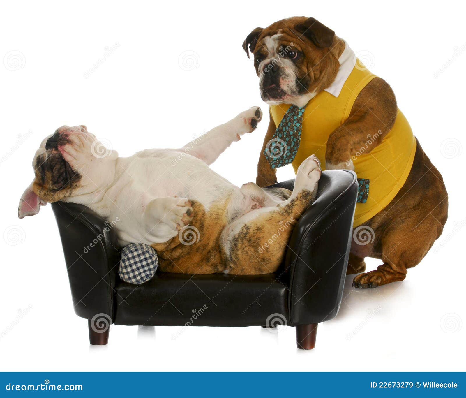 Lazy dog stock image. Image of leisure, child, male, modern - 22673279