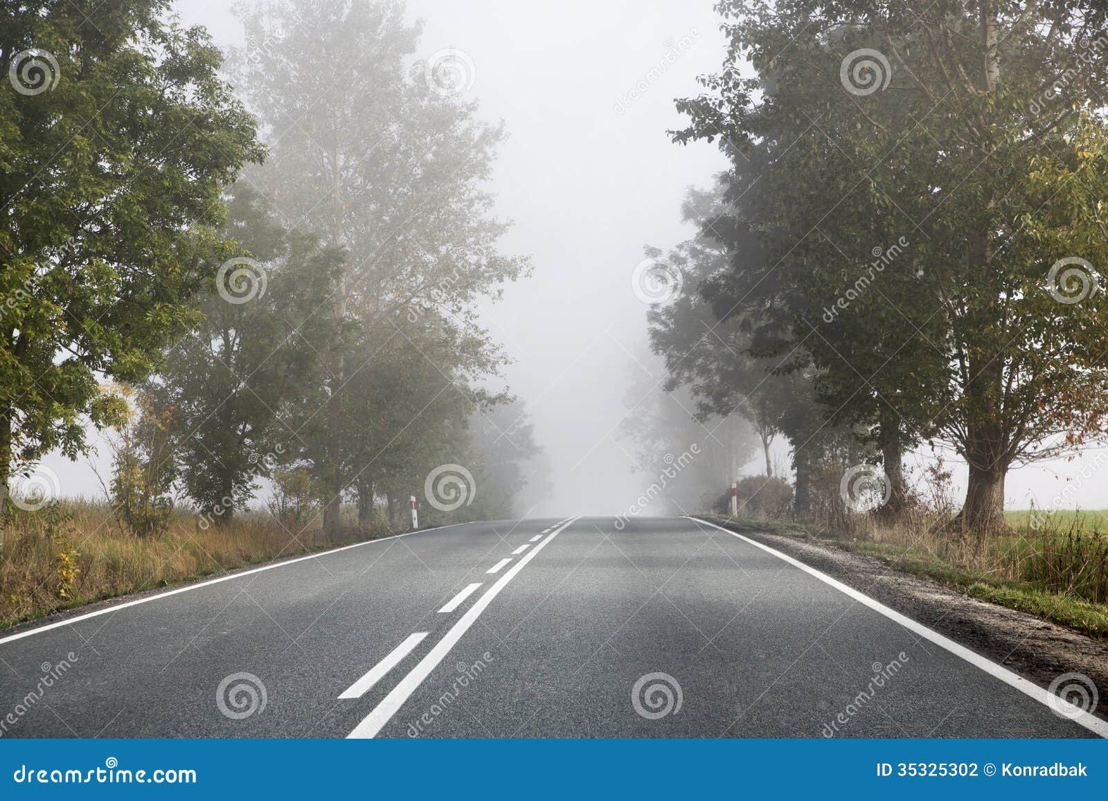 Lazy Morning on the Empty Road Stock Photo - Image of landscape, motion ...