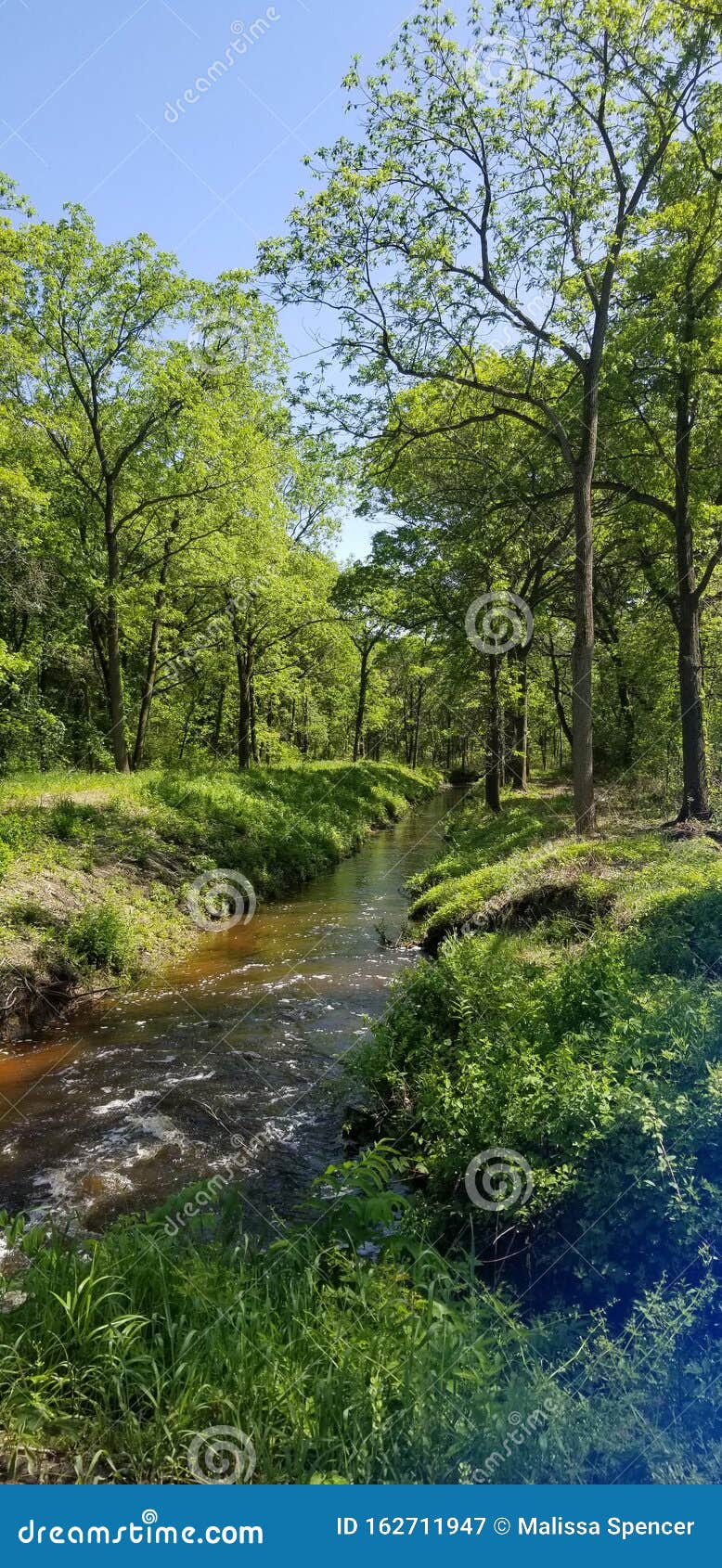 Lazy Stream in Summer Sun Light Stock Image - Image of stream, light ...