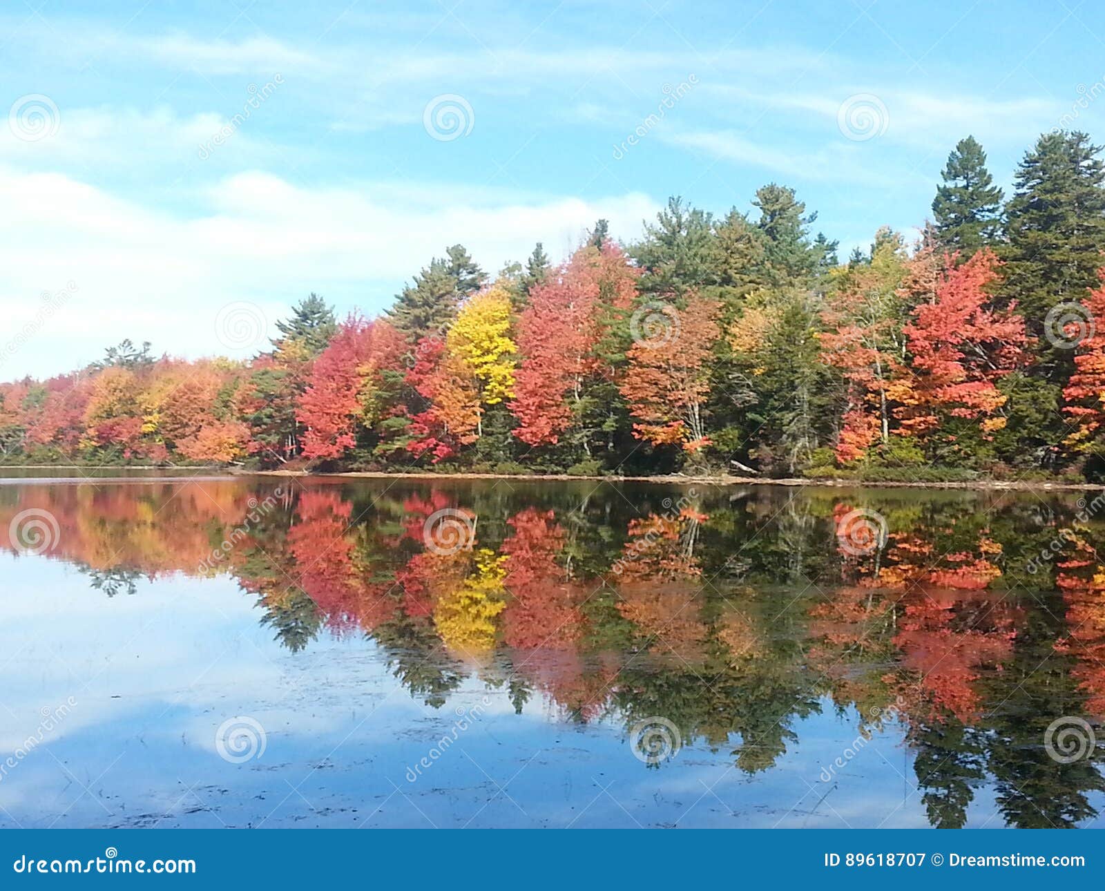 Lblunts Pond Stock Photos - Free & Royalty-Free Stock Photos from ...