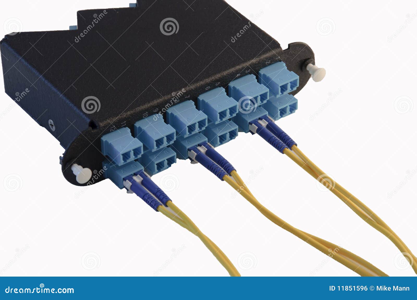 LC Fiber Module stock photo. Image of module, pluggable - 11851596