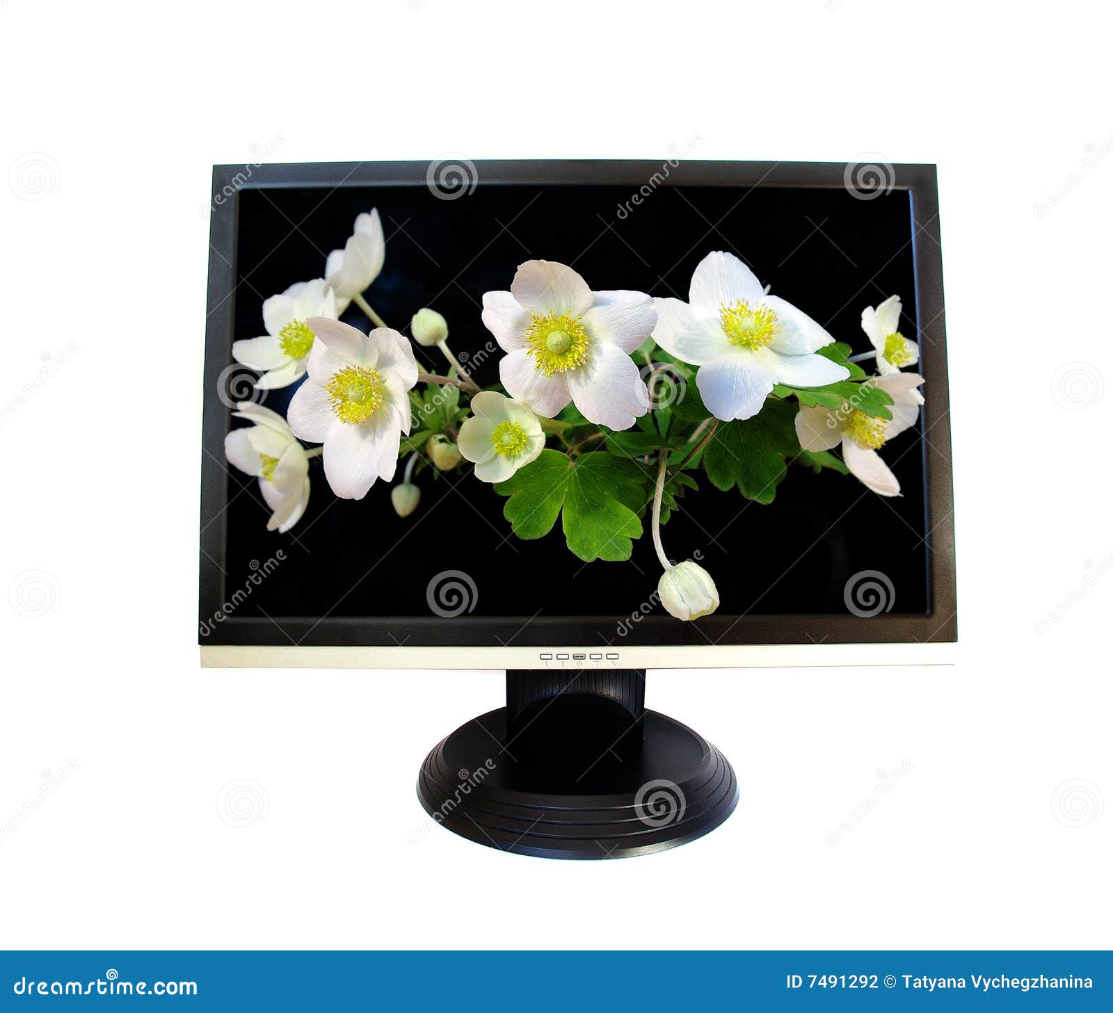 Lc Monitor Photos - Free & Royalty-Free Stock Photos from Dreamstime