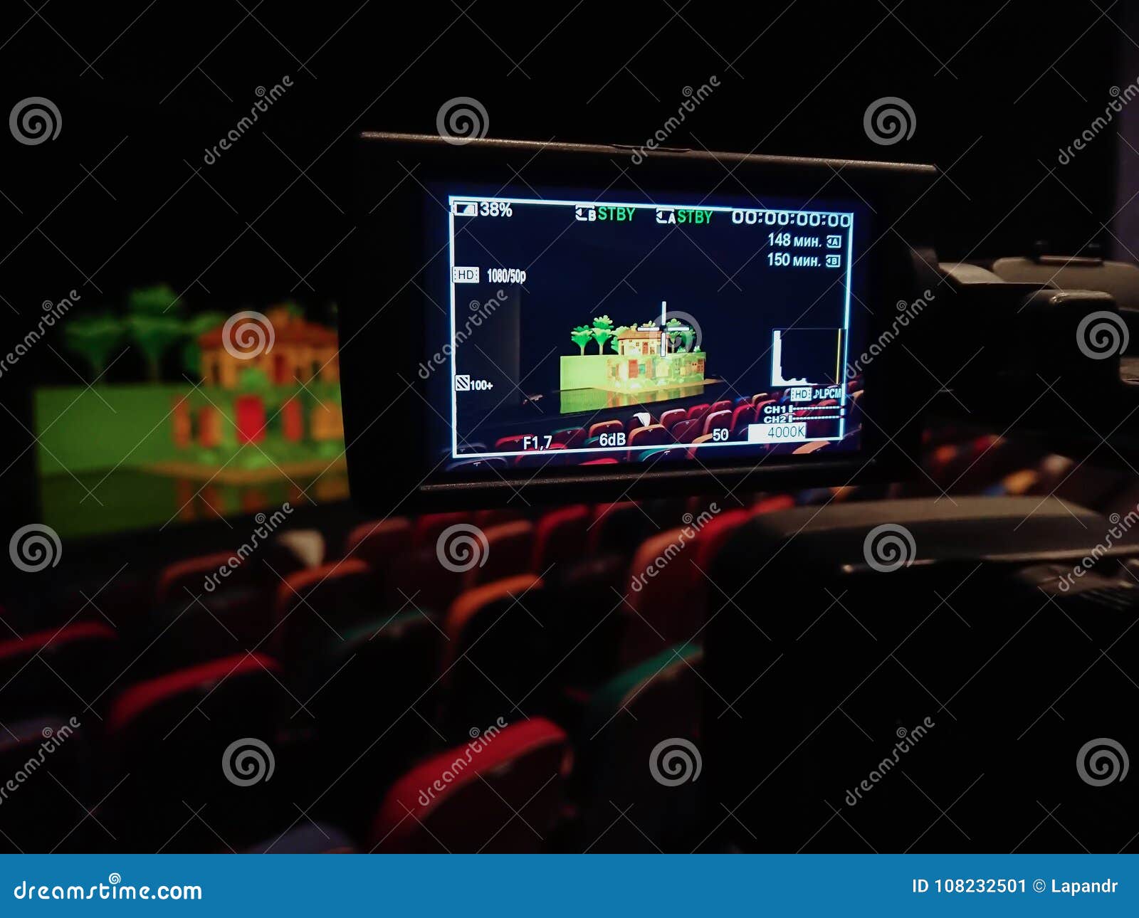 The LCD Display on the Camcorder. Shooting Theatrical Performances ...