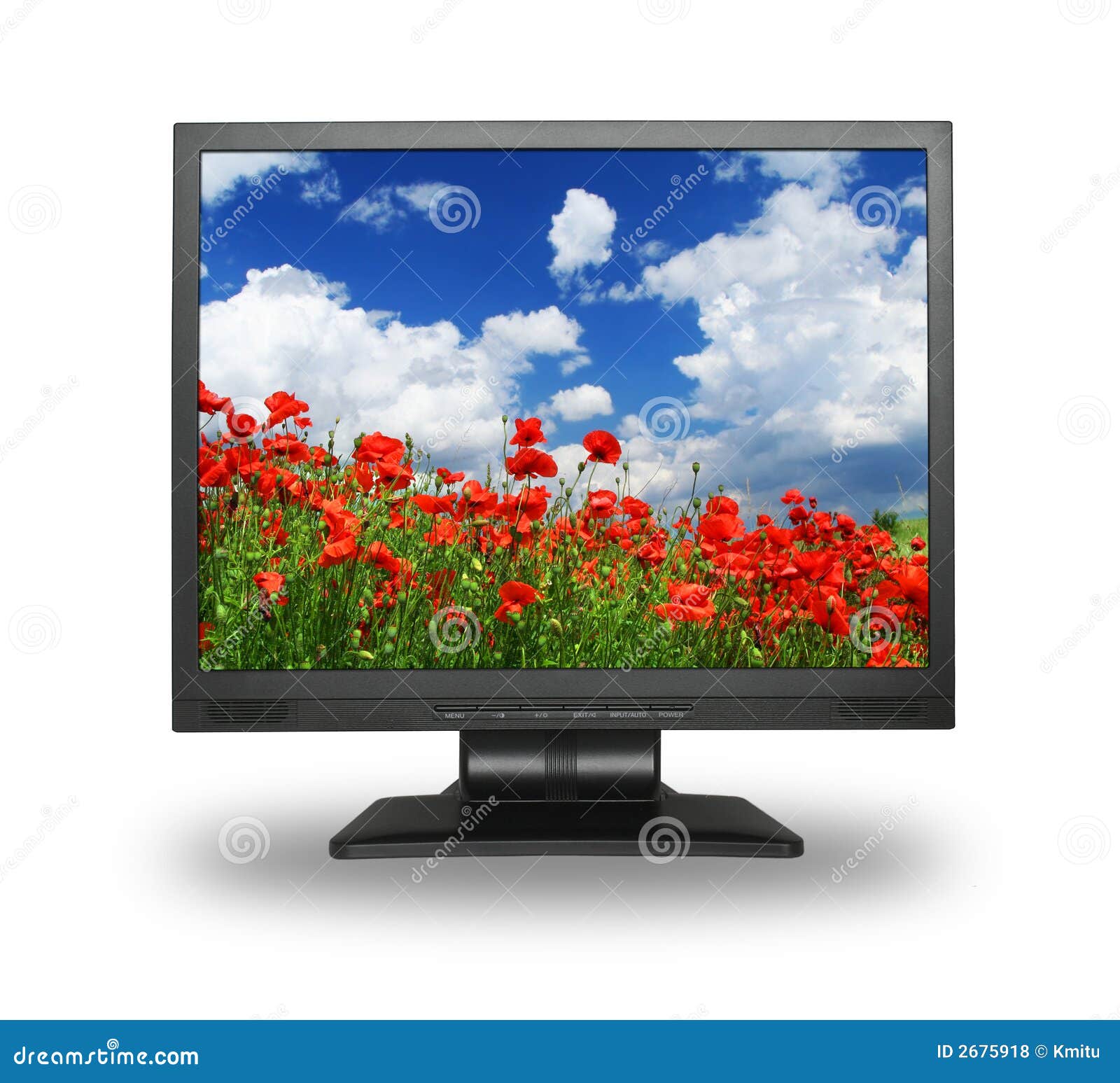 LCD with Gorgeous Landscape Stock Photo - Image of lush, blooming: 2675918