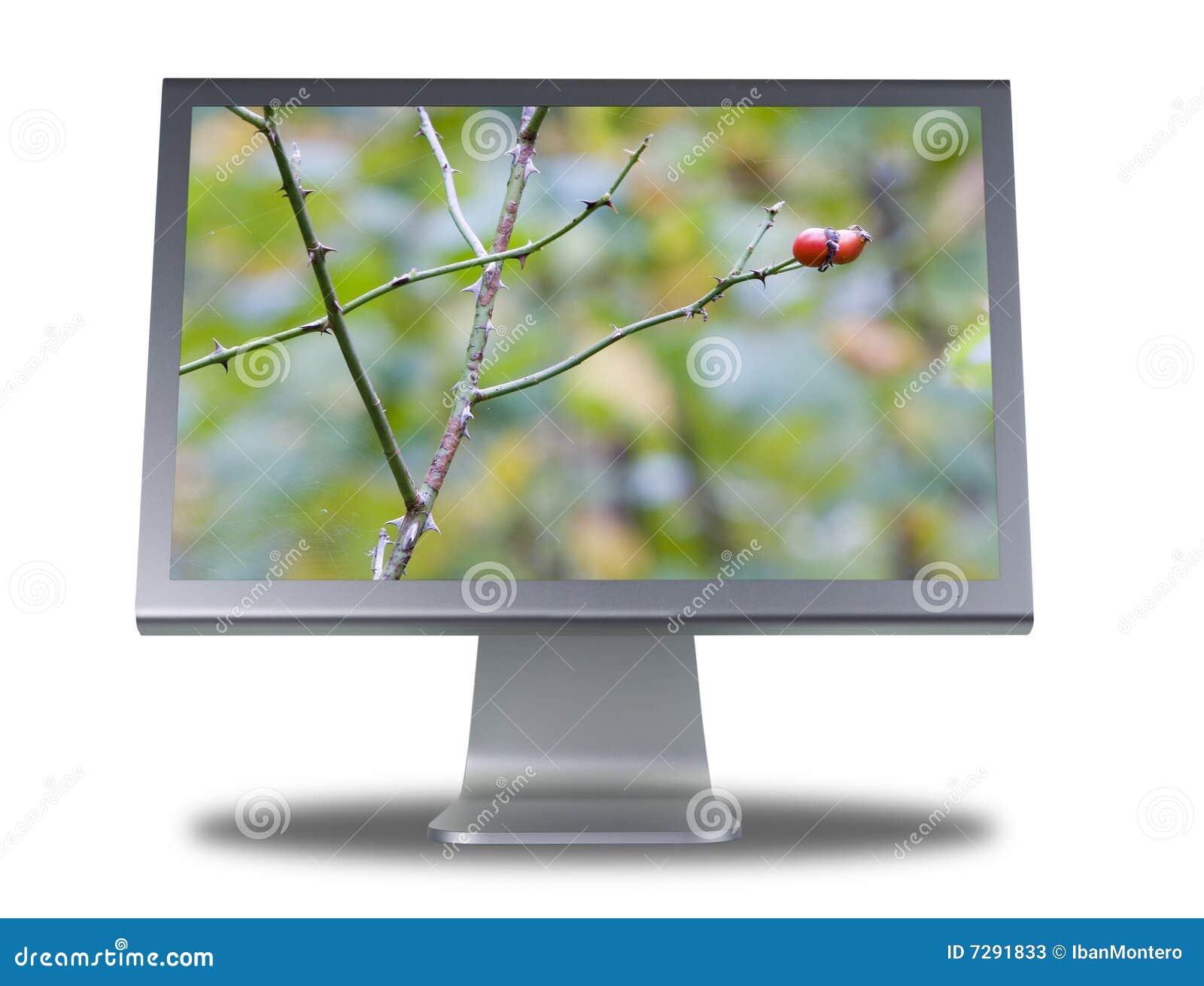 Lcd monitor flat screen stock image. Image of thin, glass - 7291833