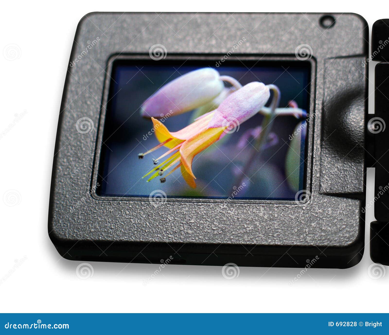 LCD screen stock photo. Image of camera, technology, sharp - 692828