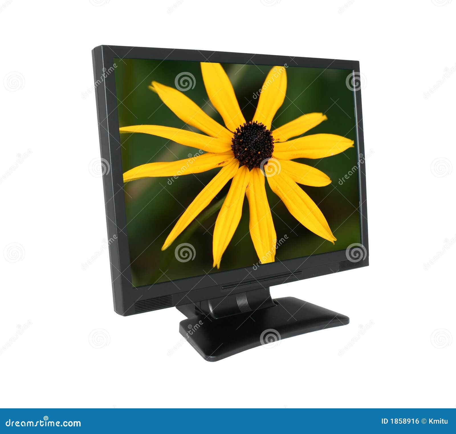 LCD Screen with Gorgeous Flower #2 Stock Photo - Image of garden ...