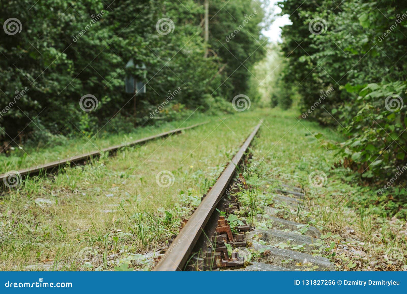 Railway in the forest stock photo. Image of travel, passing - 131827256