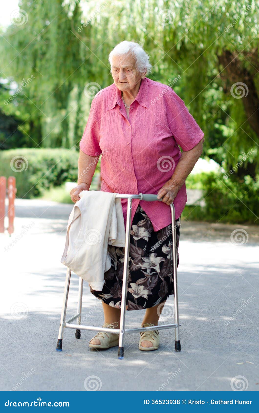 Lderly Woman Standing with Her Walker Stock Photo - Image of happy ...
