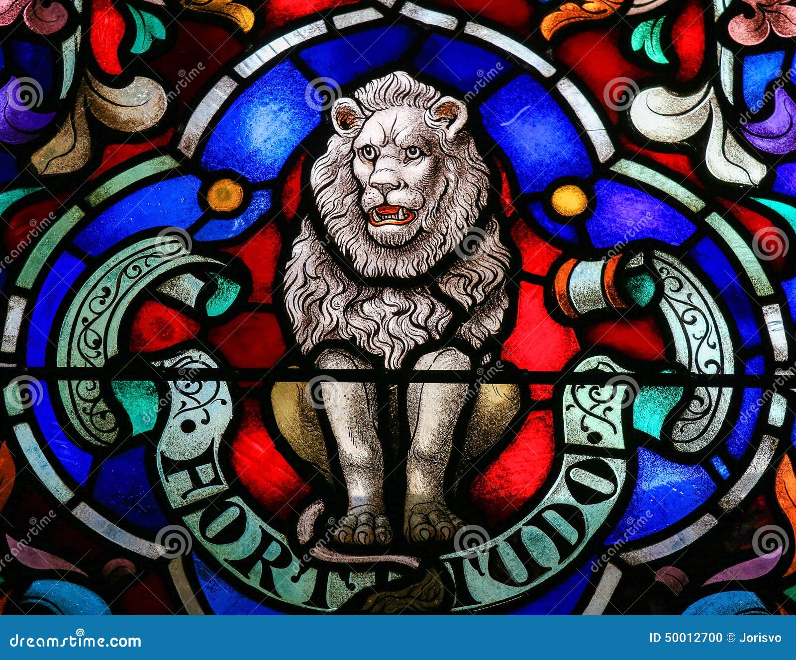 Leão, símbolo da força foto de stock. Imagem de arte - 50012700