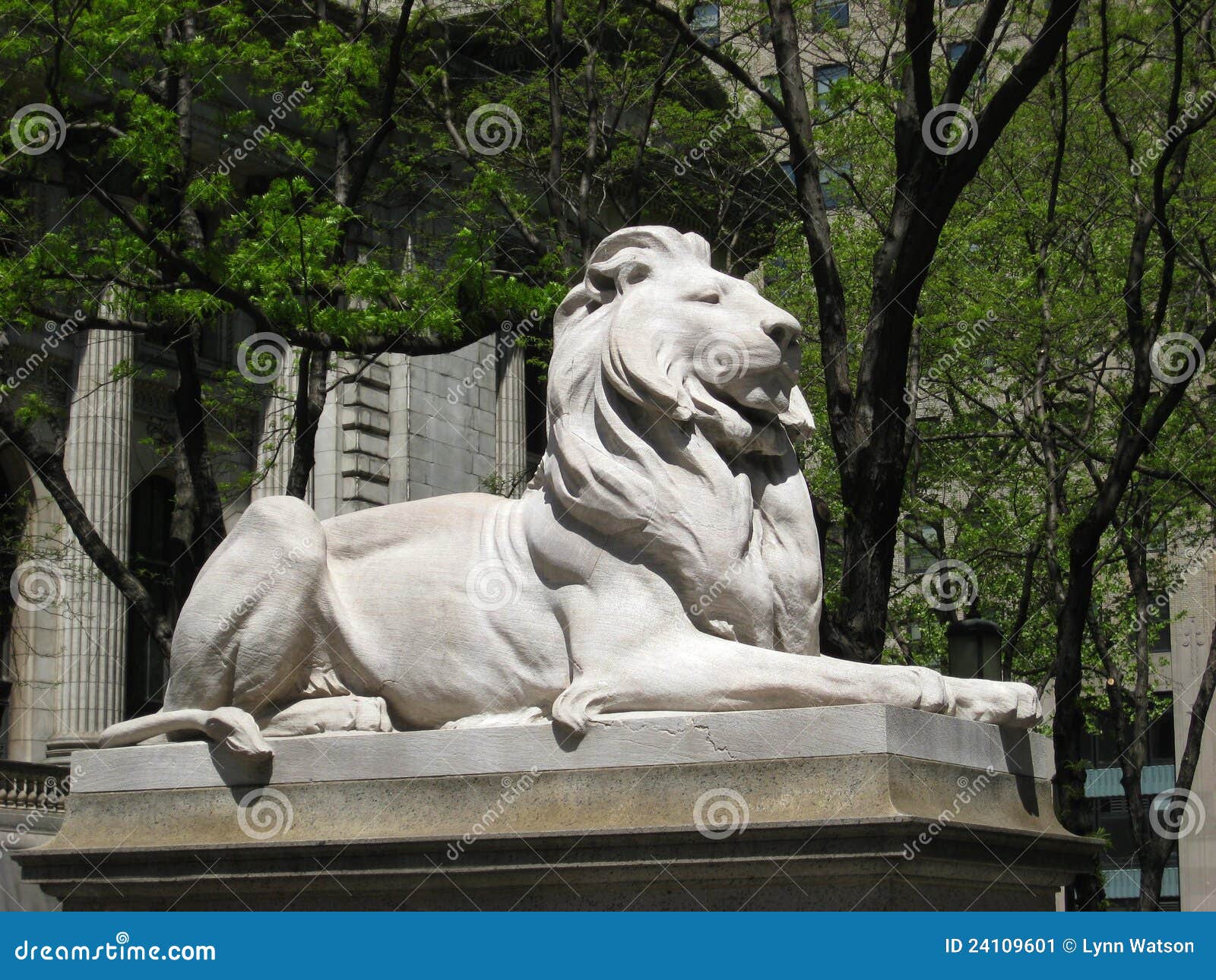 León de New York City imagen de archivo. Imagen de famoso - 24109601