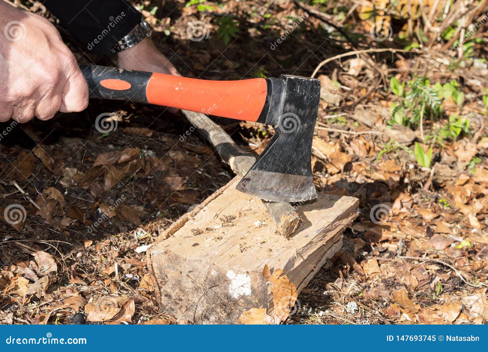 Le Armi Dell'uomo Del Primo Piano Hanno Tagliato Il Bastone Di Legno ... Le Armi Dell'uomo Del Primo Piano Hanno Tagliato Il Bastone Di Legno ...