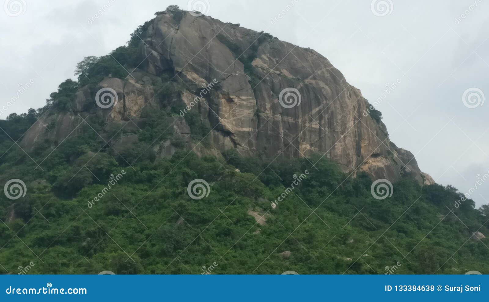 Le Caillou Monsterous Silencieux Photo stock - Image du caillou, forêt ...