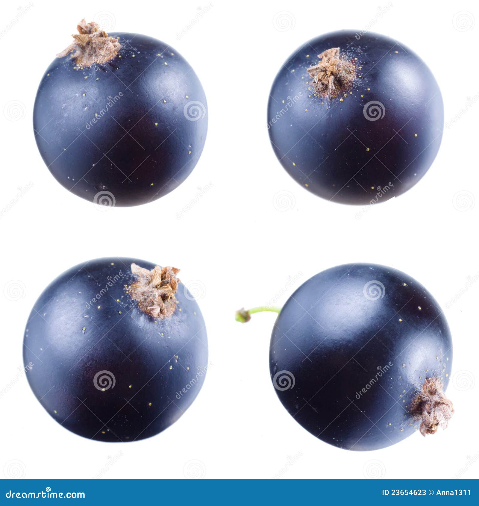 Le Cassis Sur Le Blanc a Isolé Image stock - Image du corinthe ...