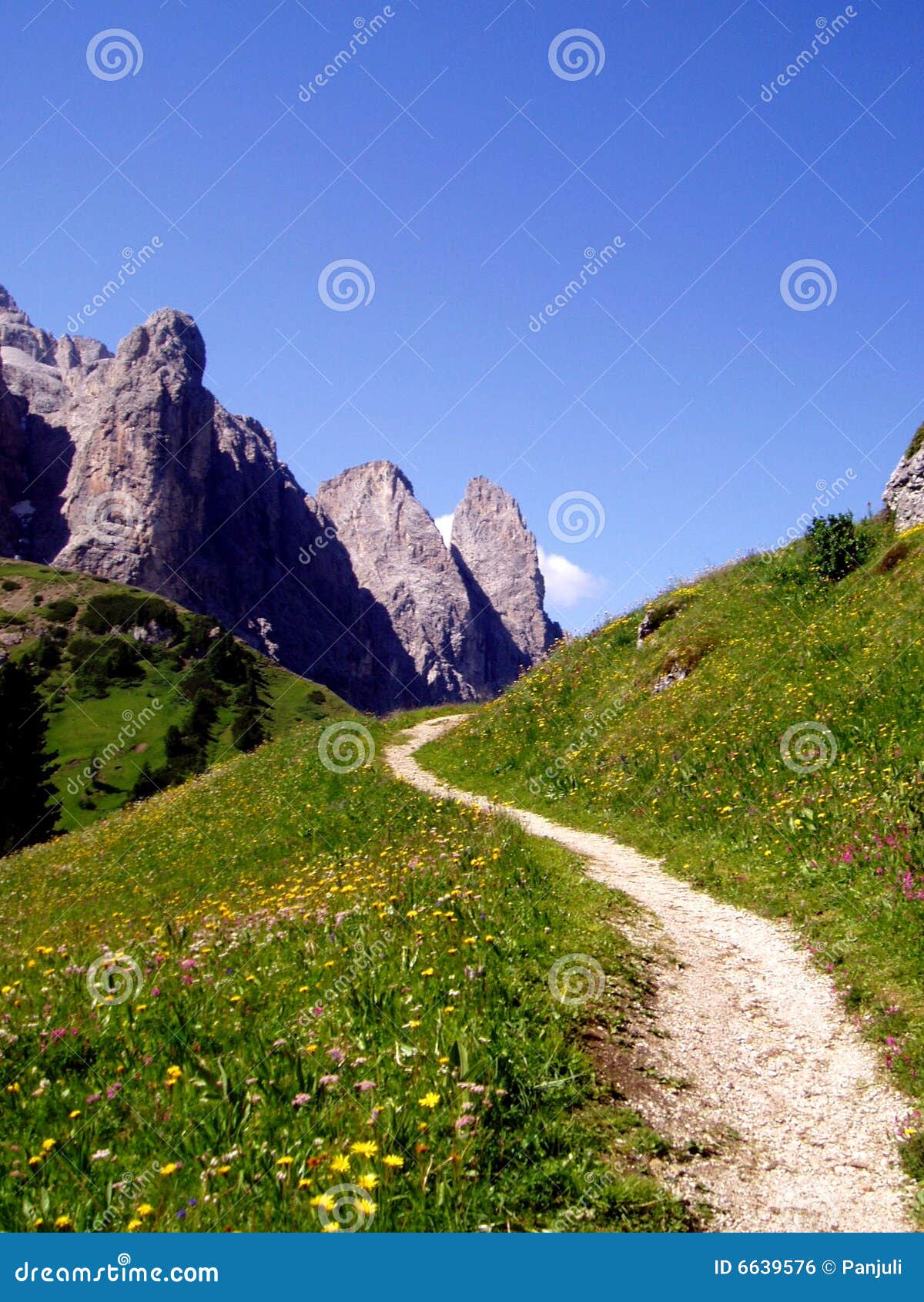 Le chemin de la montagne photo stock. Image du fuite, vert - 6639576