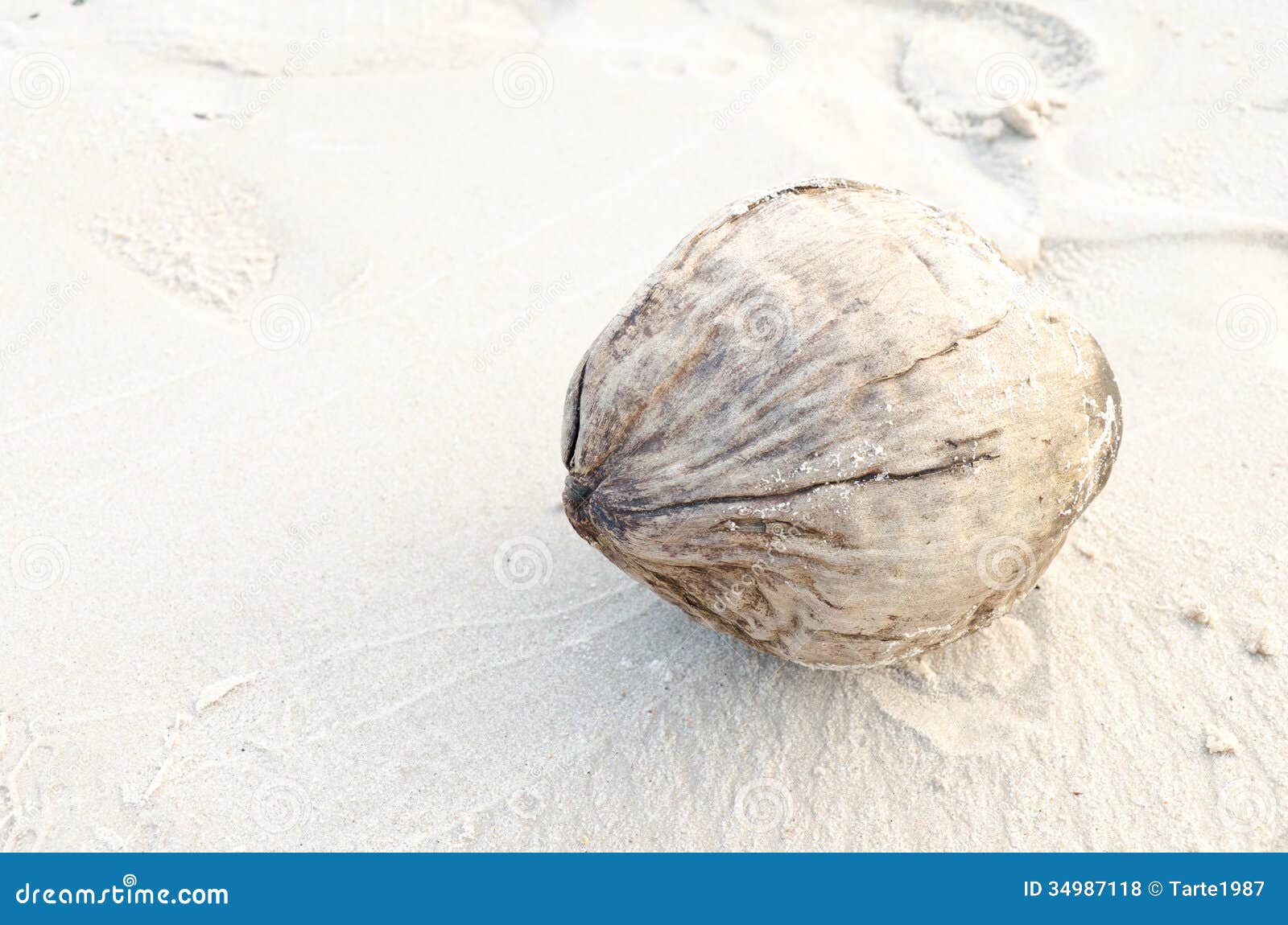 Le coco sec photo stock. Image du rivage, coconut, sable - 34987118