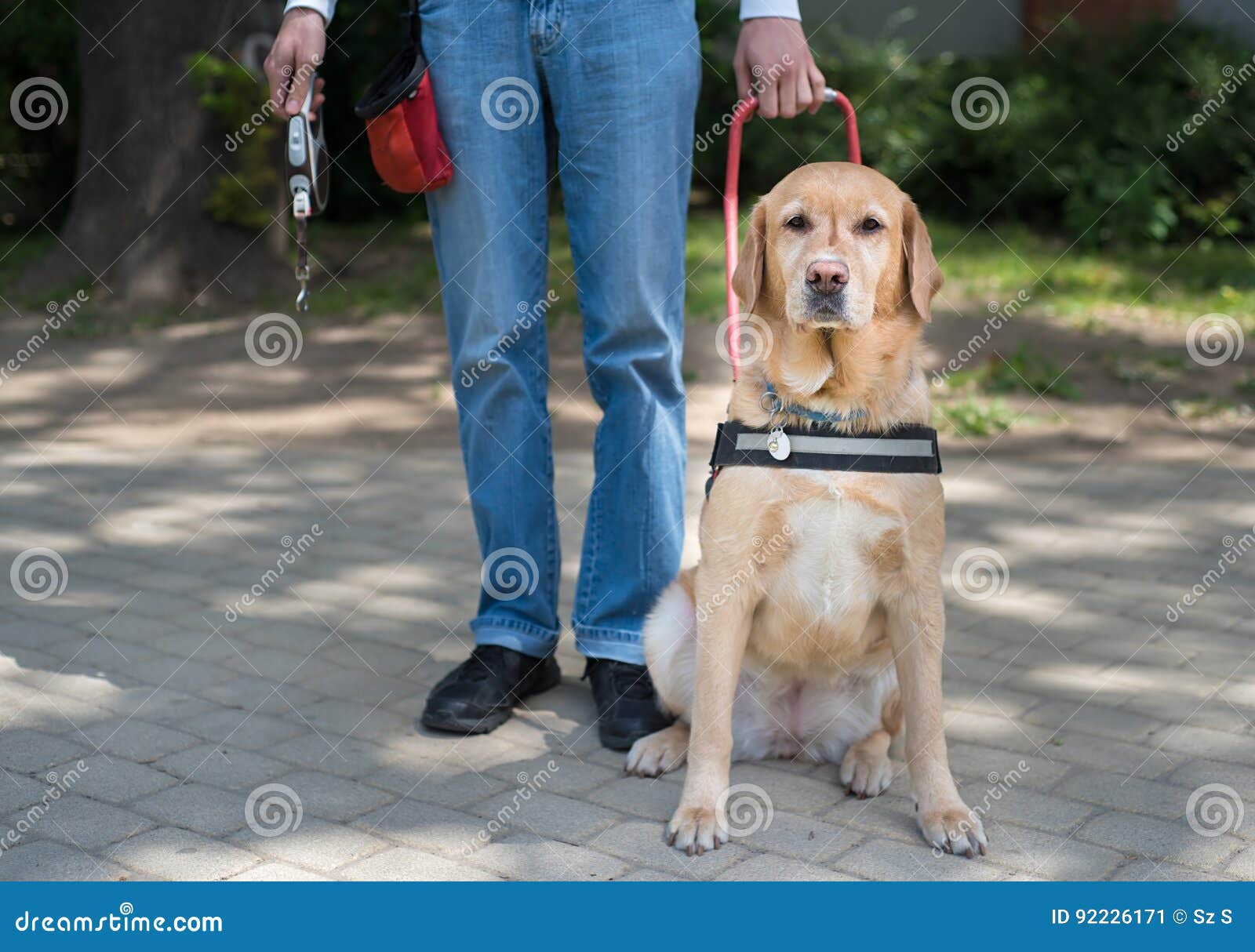Le Crabot De Guide Aide Un Homme Borgne Image stock - Image of guider ...