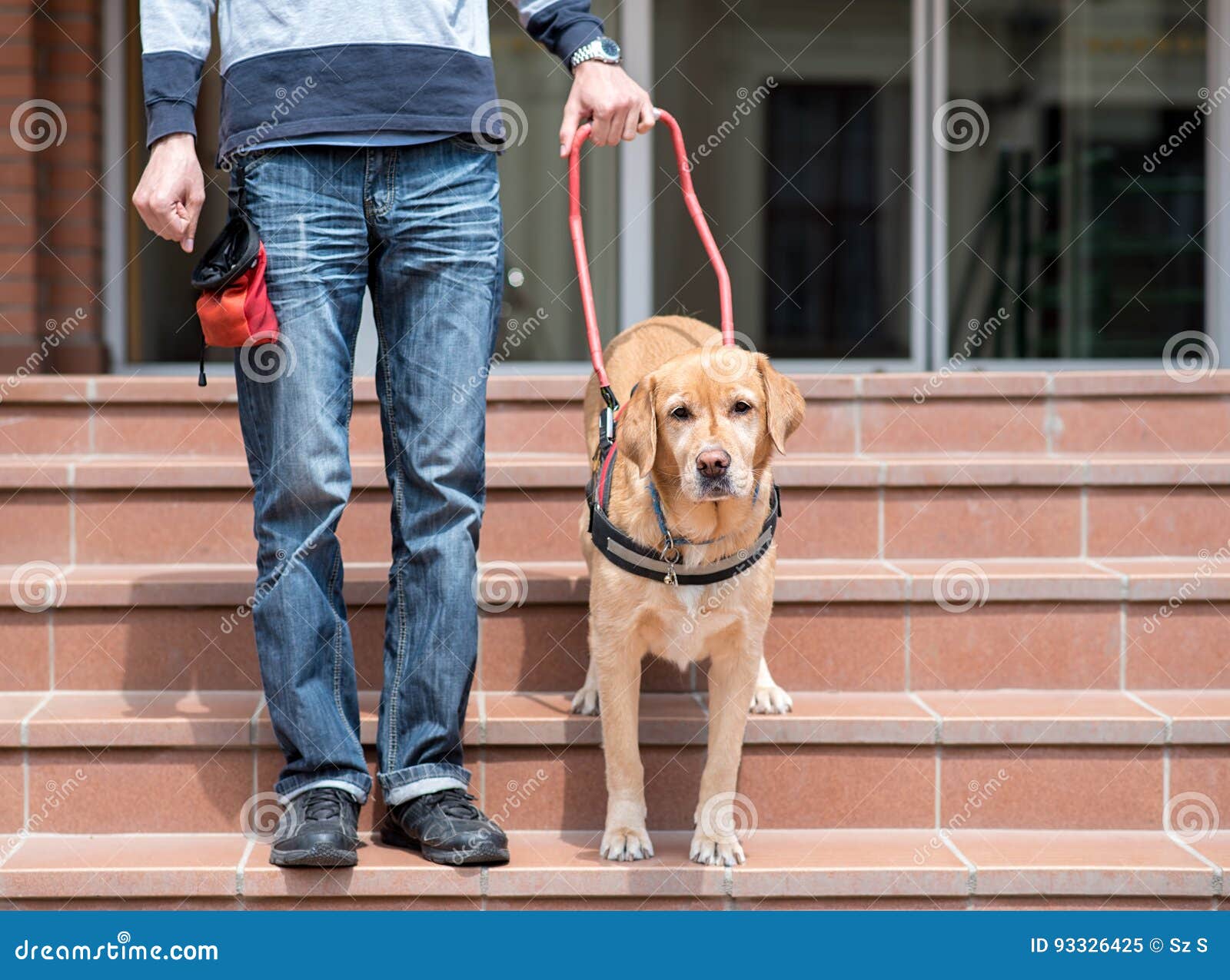 Le Crabot De Guide Aide Un Homme Borgne Image stock - Image du oeil ...
