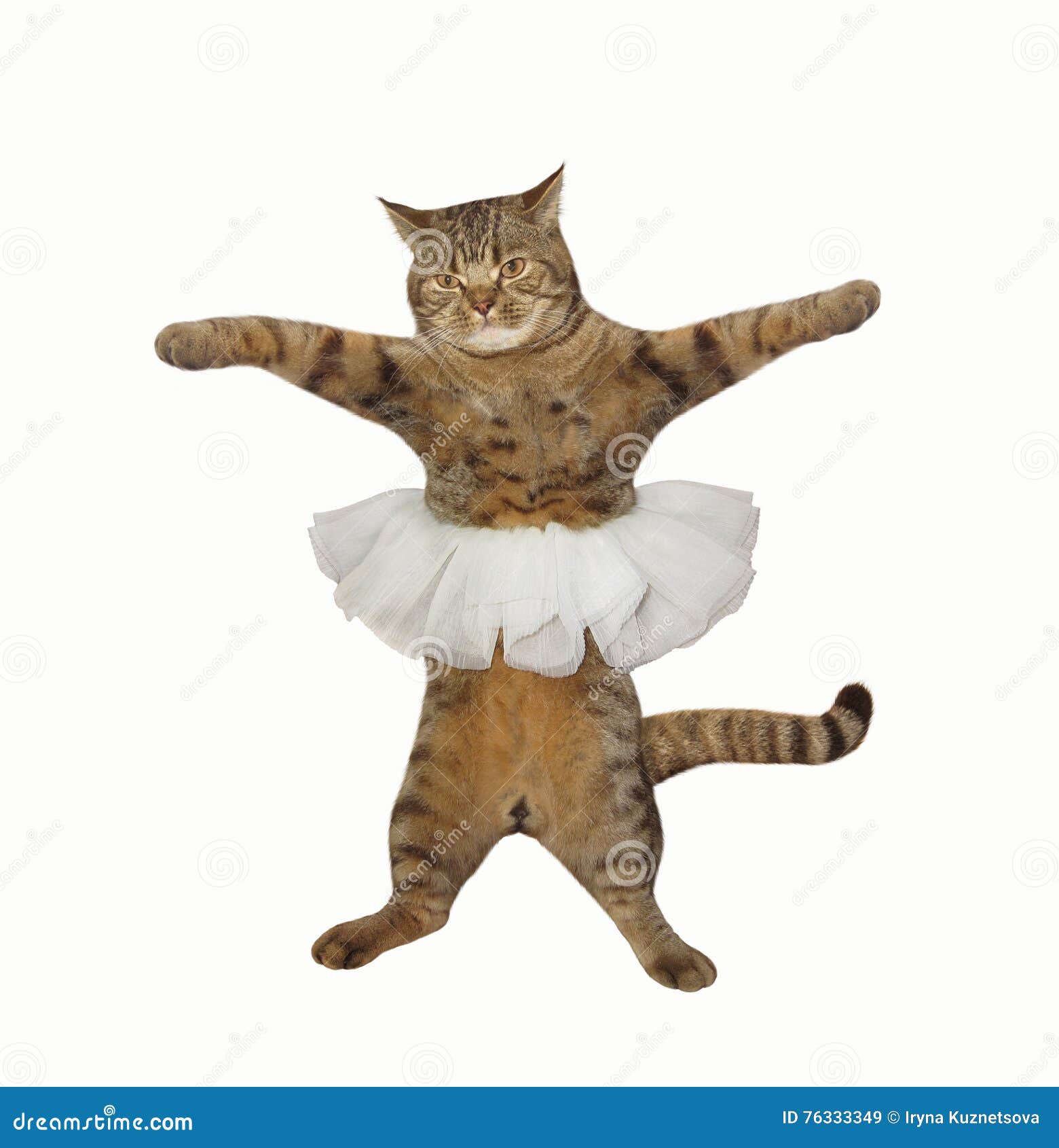 Le Danseur Classique De Chat Image stock - Image du danseur, jupe: 76333349