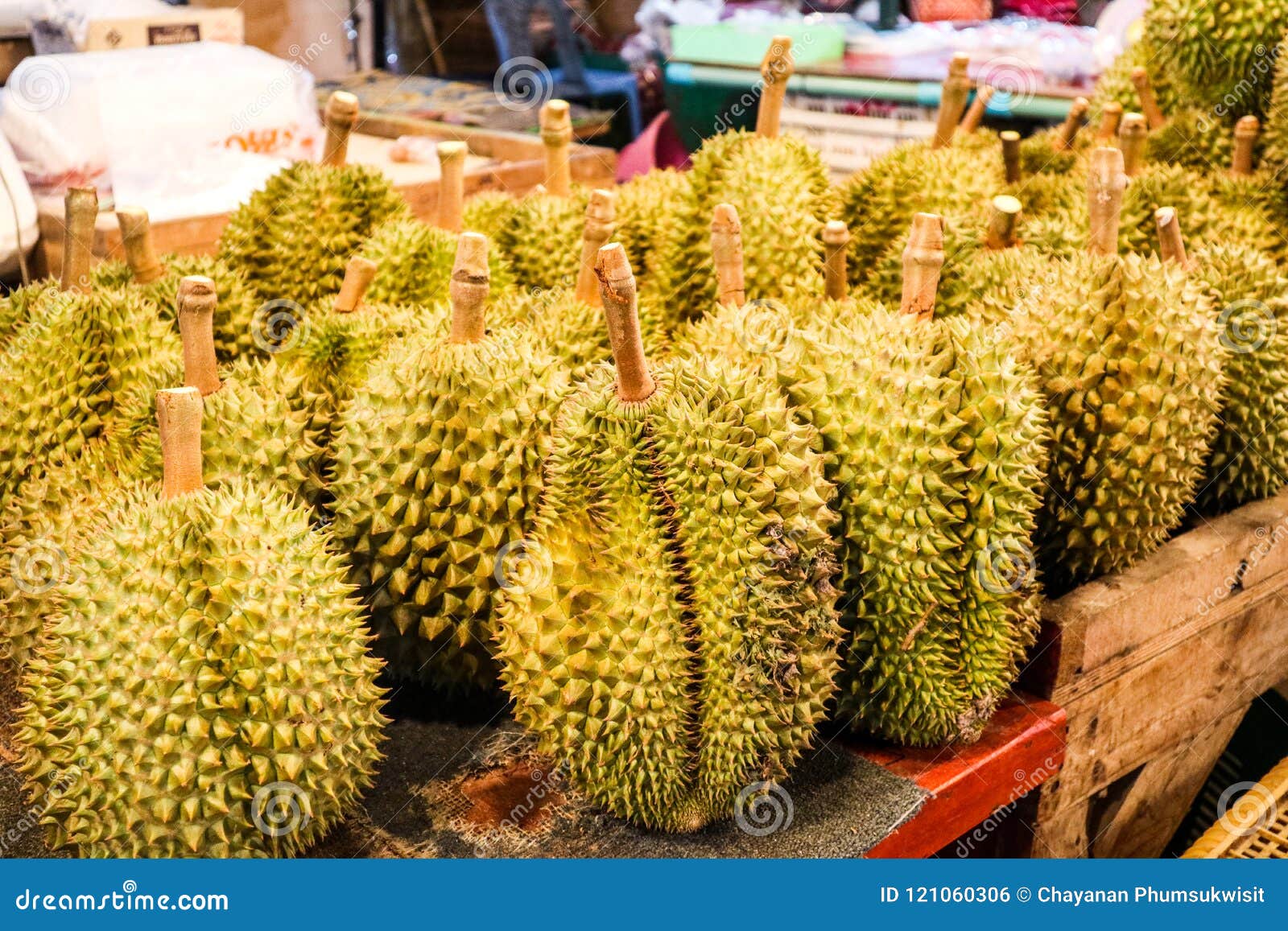 Le Durian Est Le Fruit Des Plusieurs Arbre Photo stock - Image du asie ...
