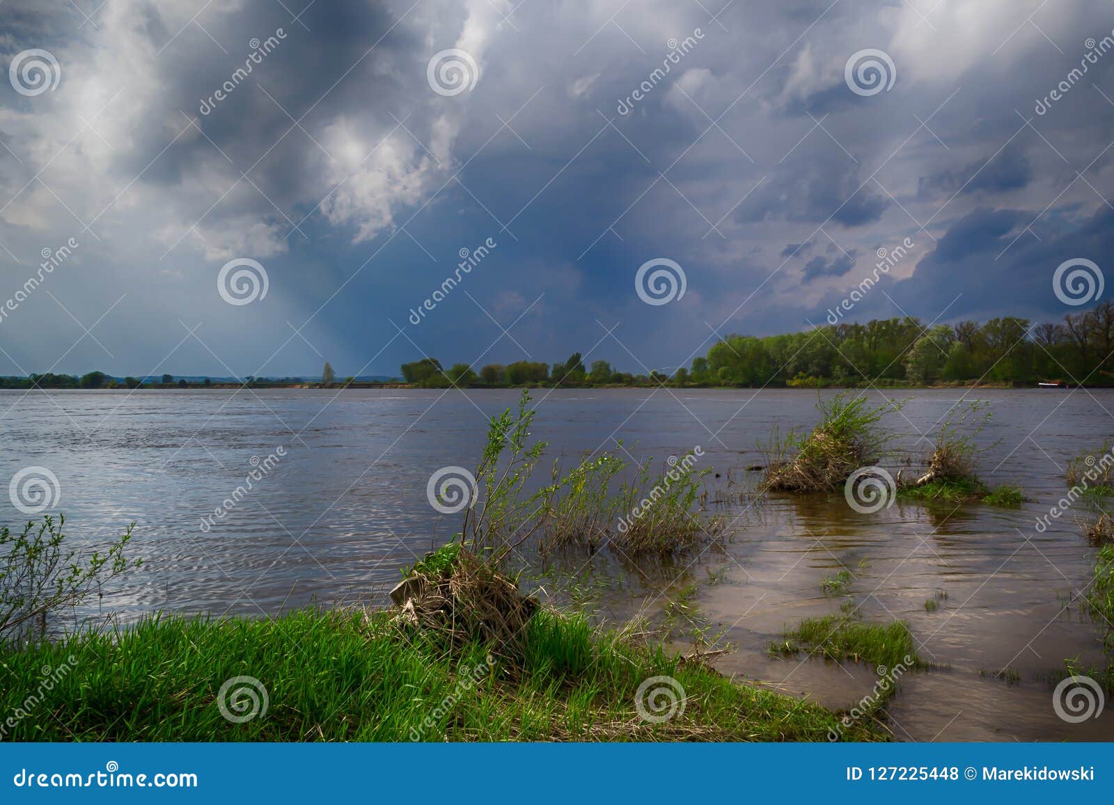 Le Fleuve Vistule En Pologne Centrale Photo stock - Image du horizontal ...