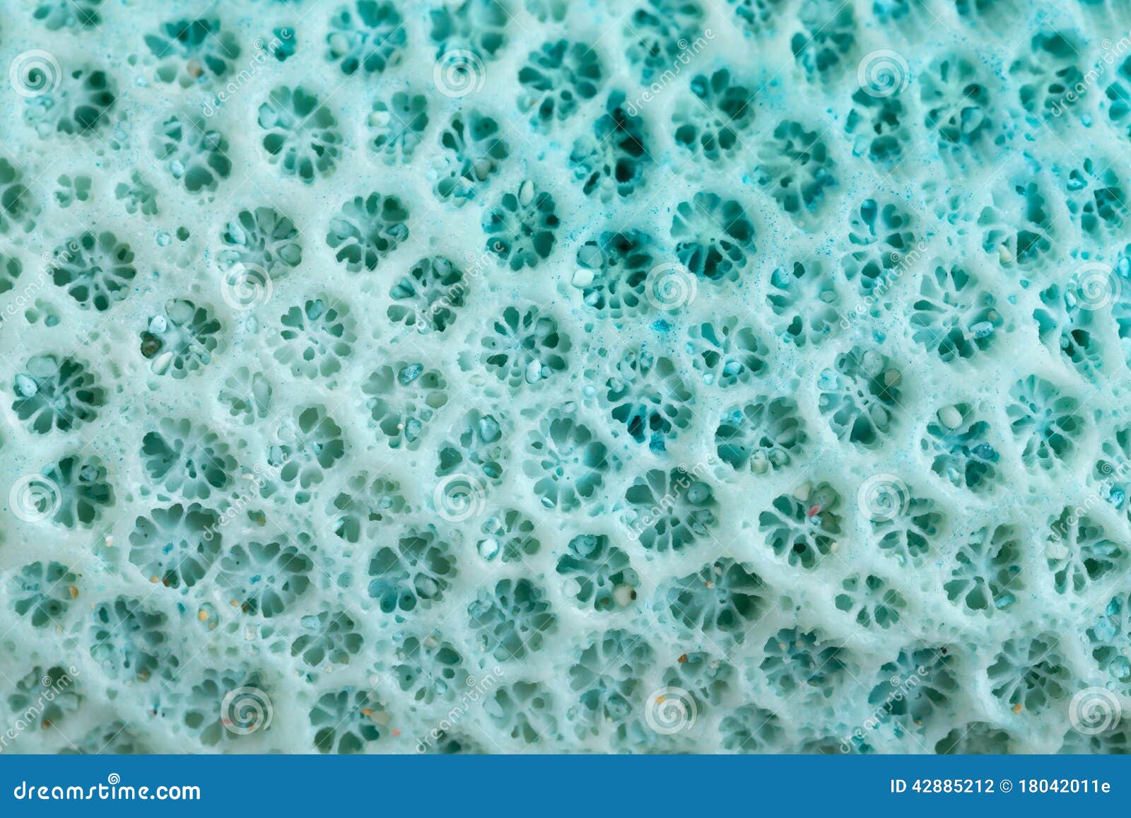 Le Fond De Corail Bleu De Structure, Se Ferment Photo stock - Image du ...