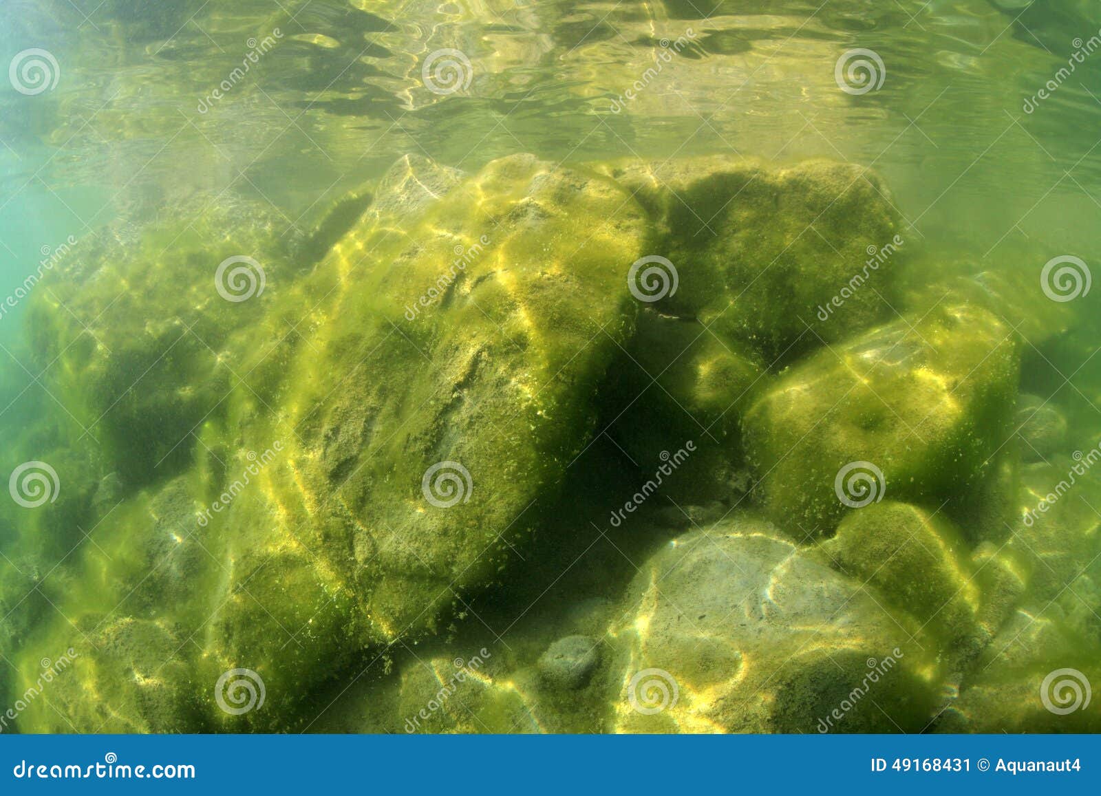 Le Fond Rocheux Du Lac D'eau Douce Image stock - Image du scaphandre ...