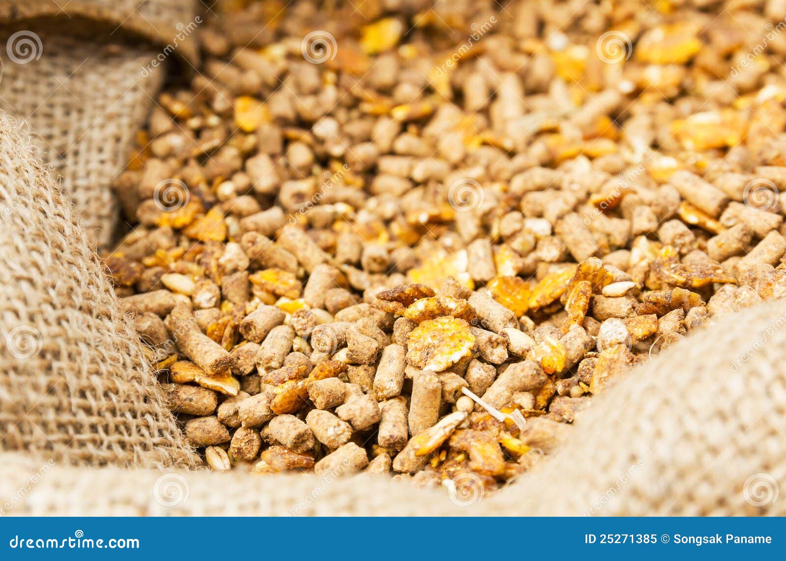 Images Fourrage - Téléchargez 35,250 Photos libres de droits