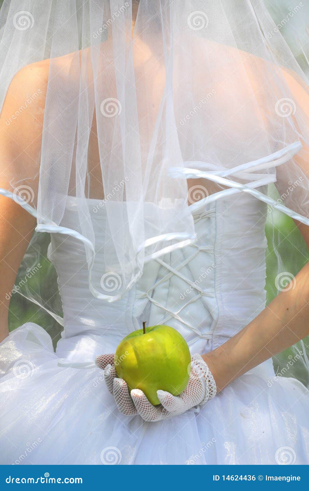 Le fruit interdit d'Eve photo stock. Image du magnifique - 14624436