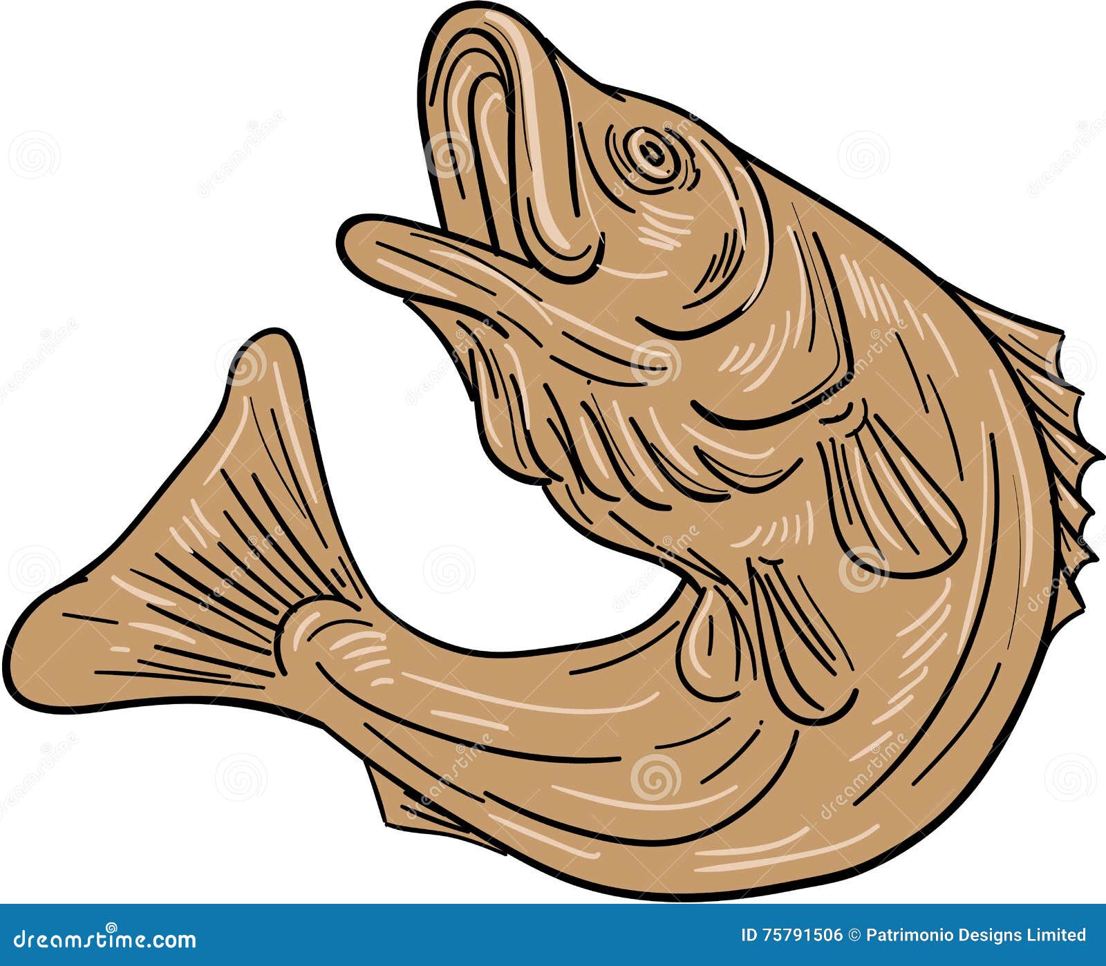 Le Goujon De Mer Sautant Vers Le Haut Du Dessin Illustration de Vecteur ...