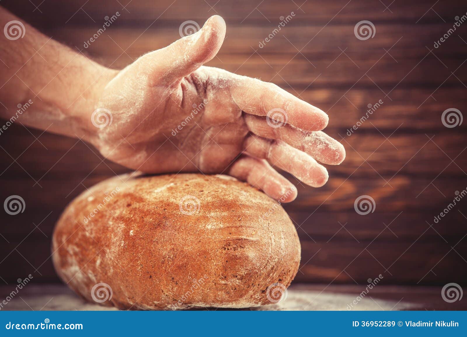 Le Mani Del Panettiere Con Un Pane. Immagine Stock - Immagine di doni ...