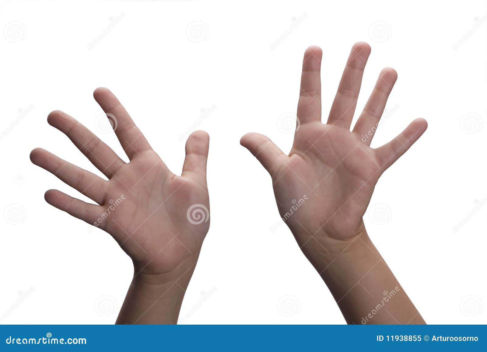 Le mani si aprono immagine stock. Immagine di mano, riga - 11938855