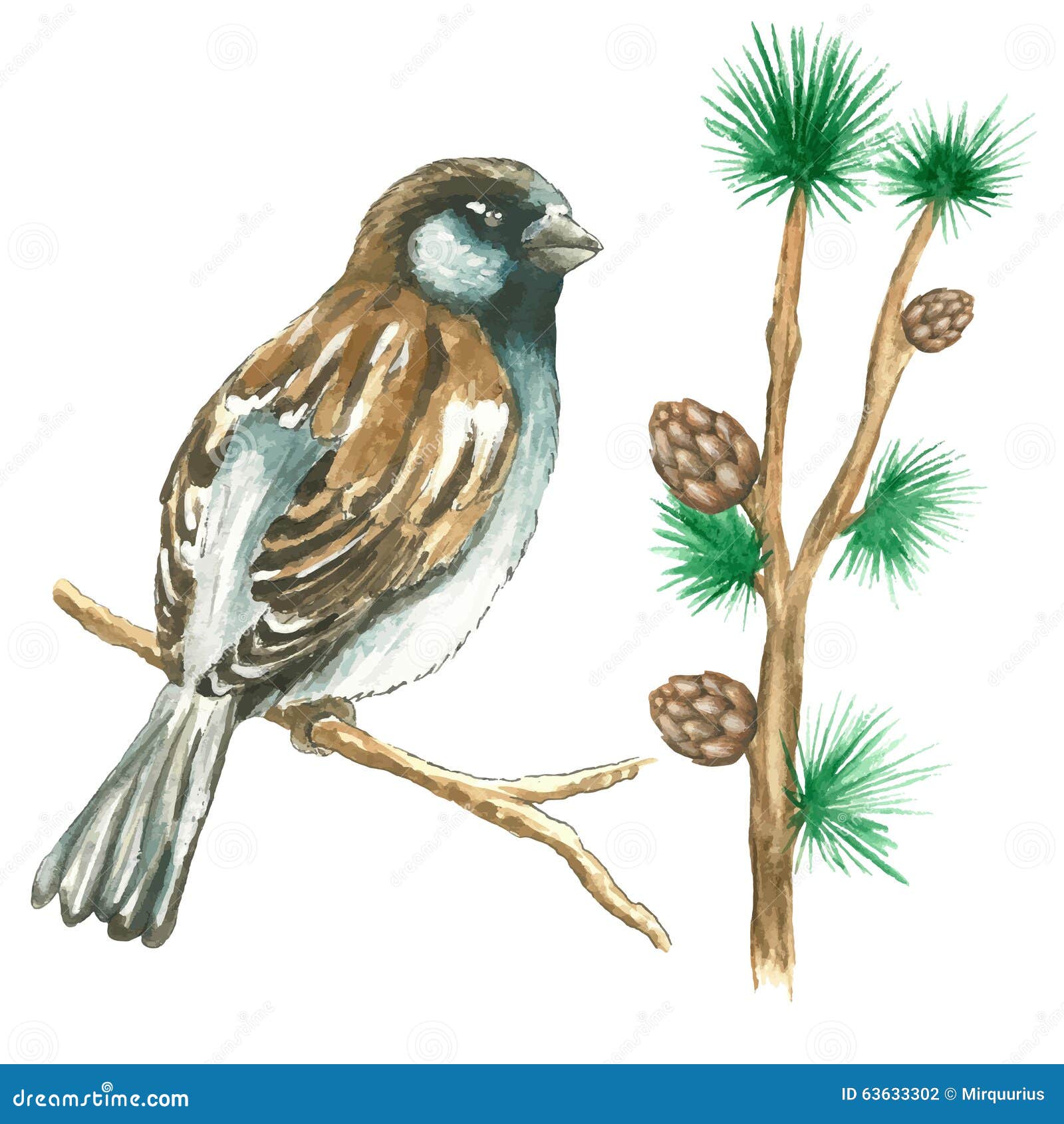 Le Moineau Sur Le Fond Blanc Illustration de Vecteur - Illustration du ...